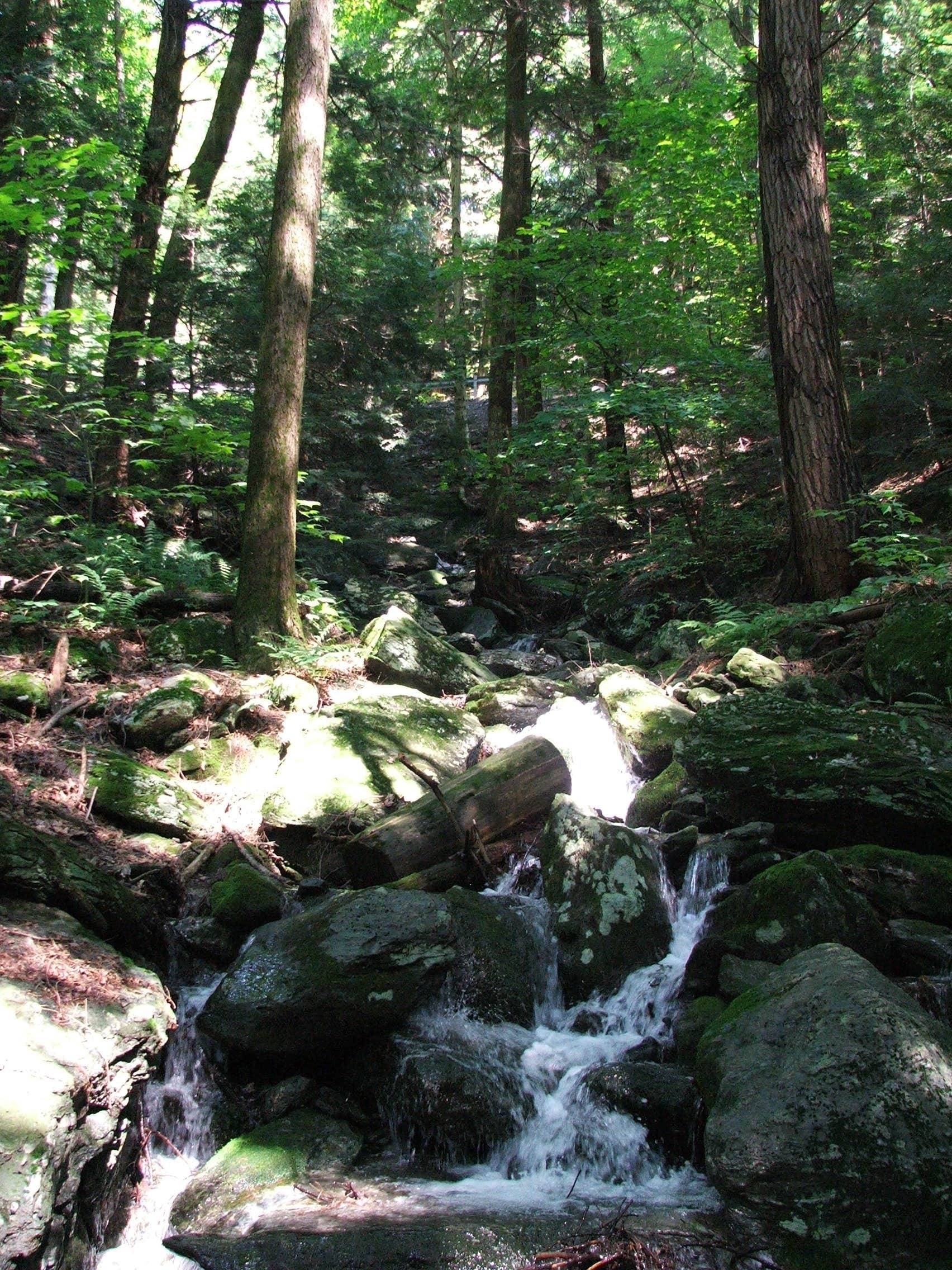 Taconic/Copake Falls Area | The Dyrt