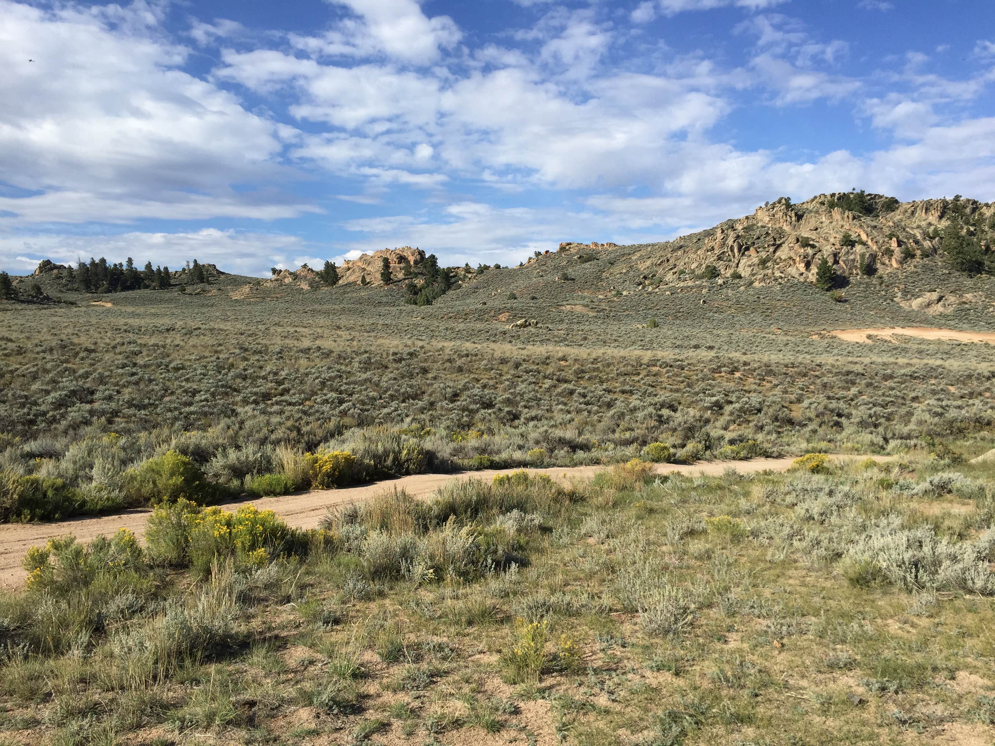 Hartman Rocks Recreation Area Camping | Gunnison, CO