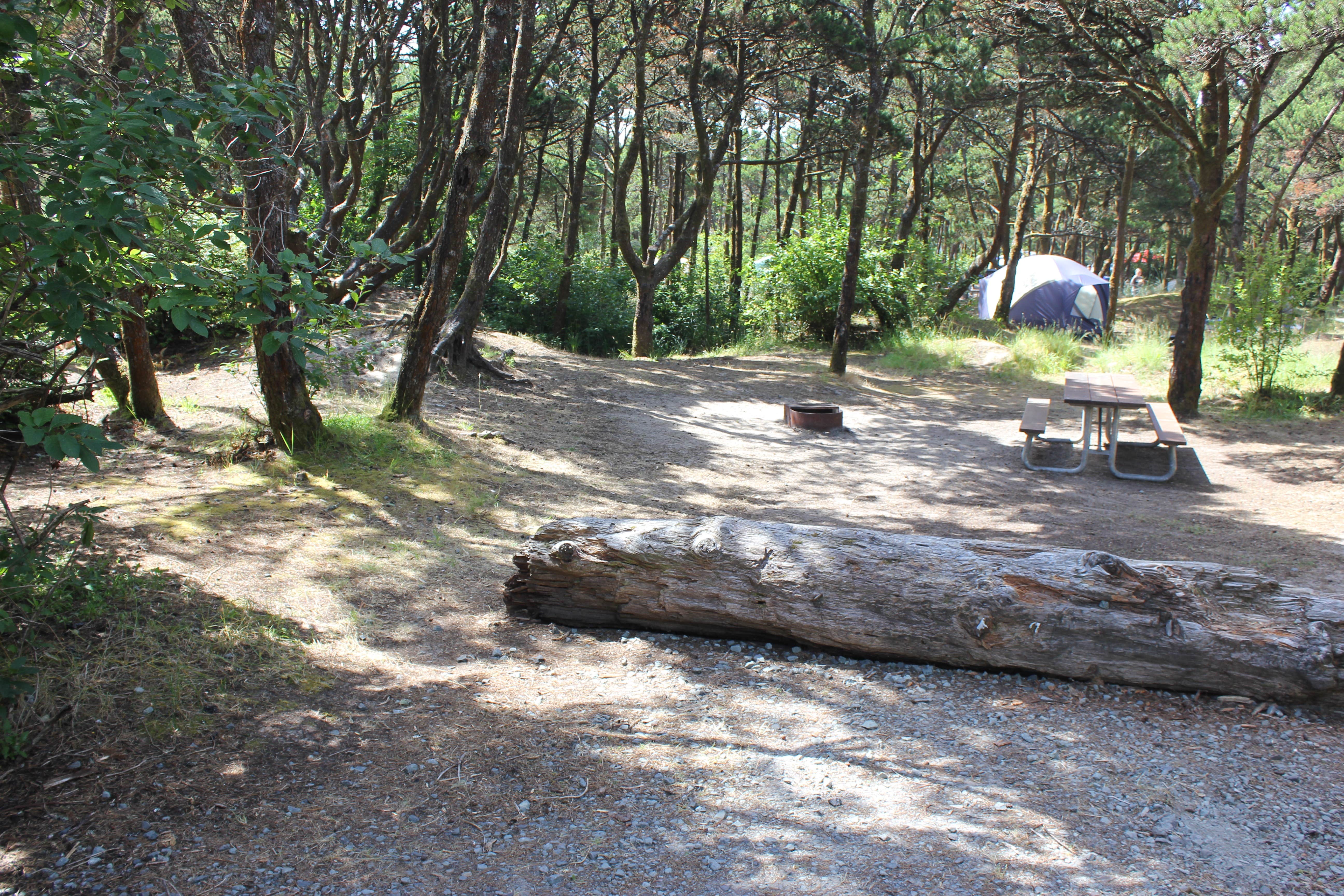 Barview Jetty County Campground | Rockaway Beach, Oregon