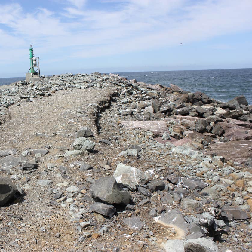 Barview Jetty County Campground Camping | The Dyrt