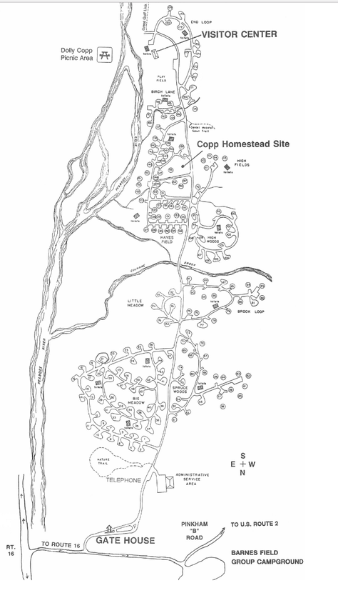 Dolly Copp Campground Camping | The Dyrt