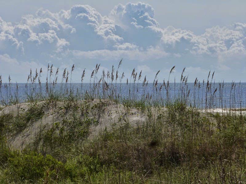 Cedar Point Campground | Cedar point, NC