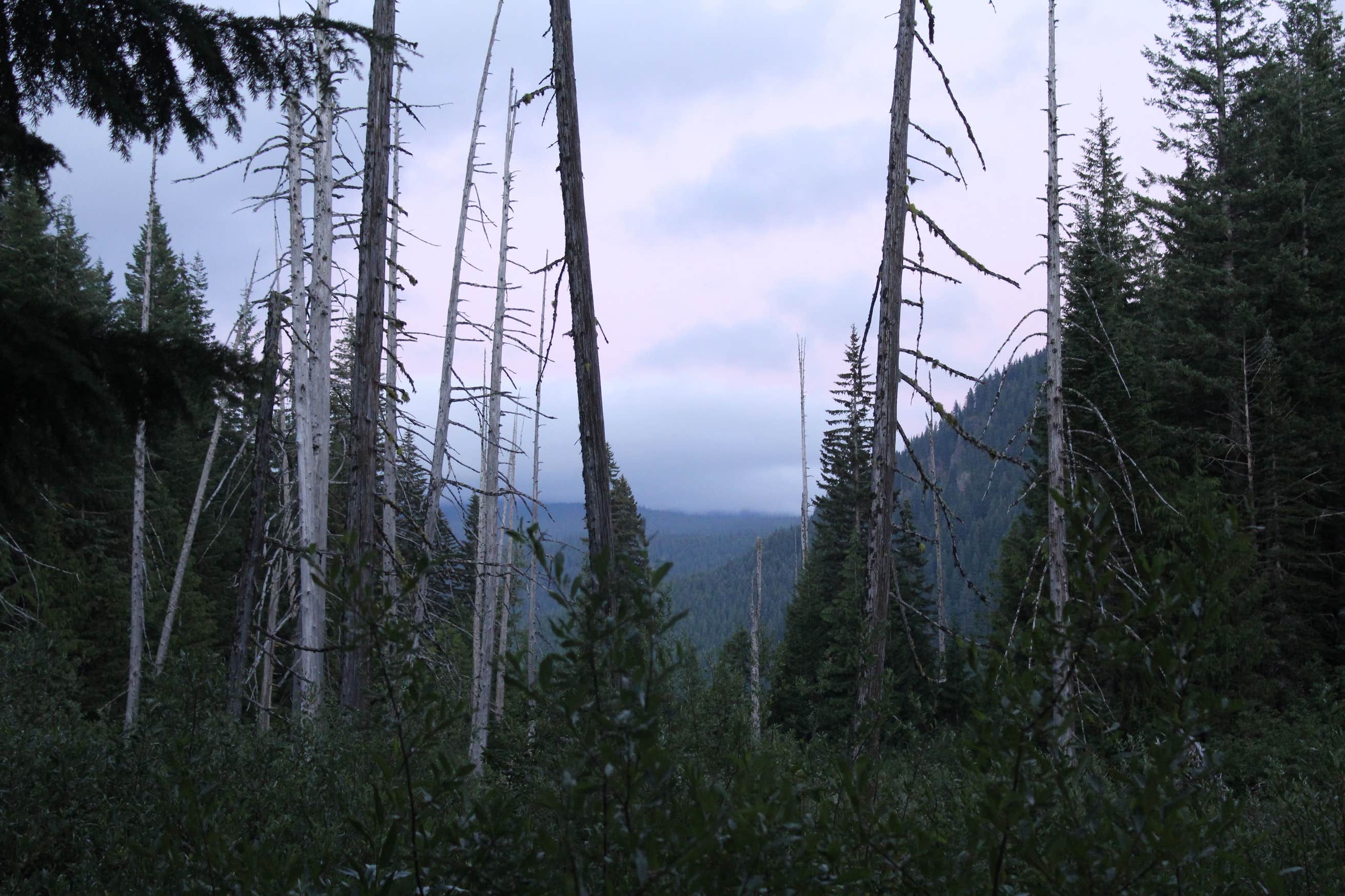 Walupt Lake Campground Camping | The Dyrt