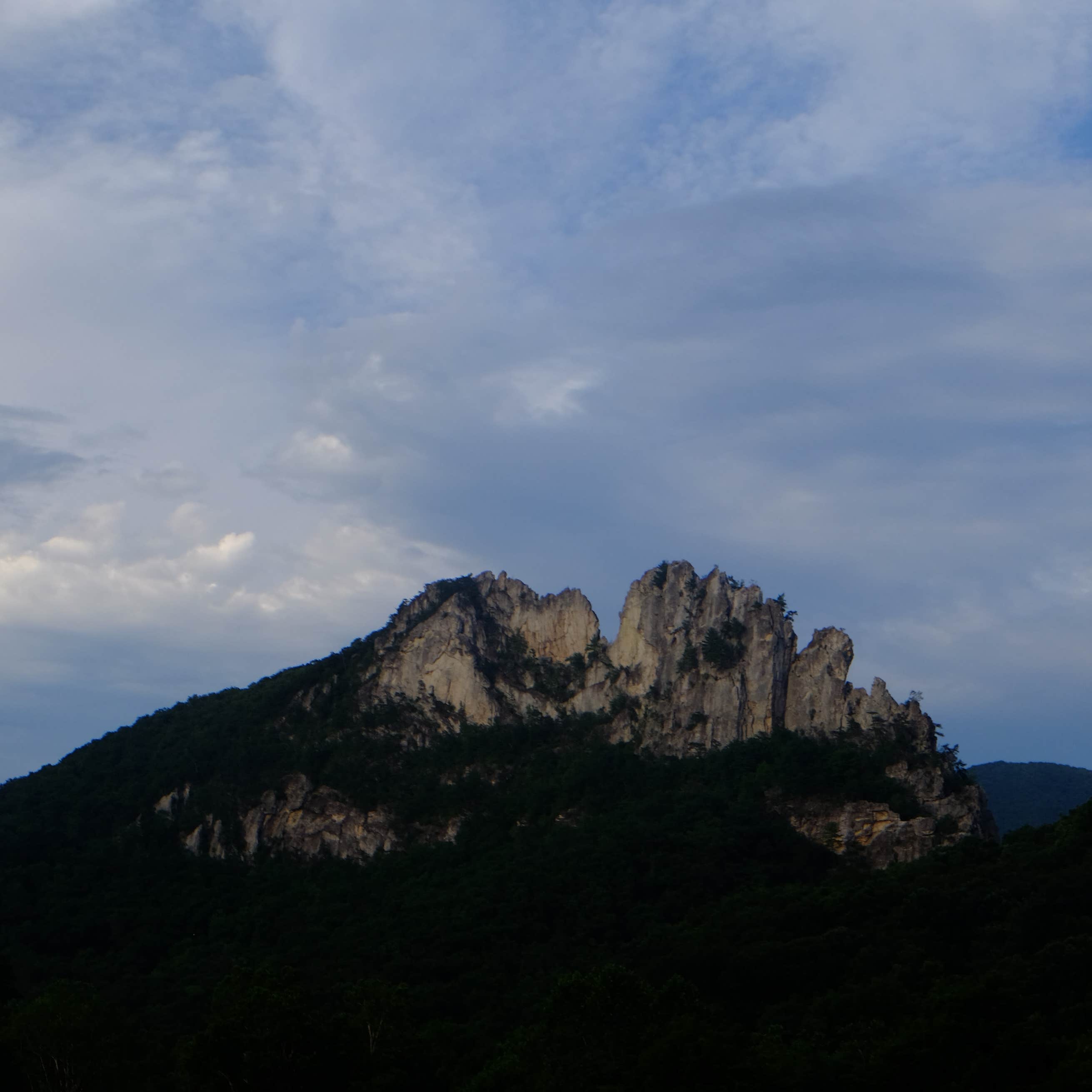 Seneca Shadows Camping | The Dyrt