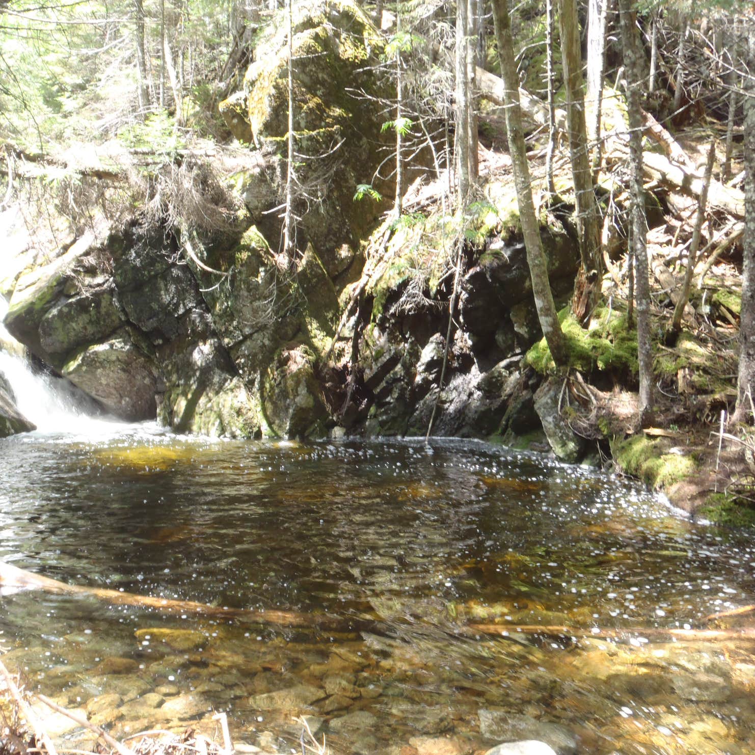 Marcy Dam Backcountry Campsites Camping | The Dyrt