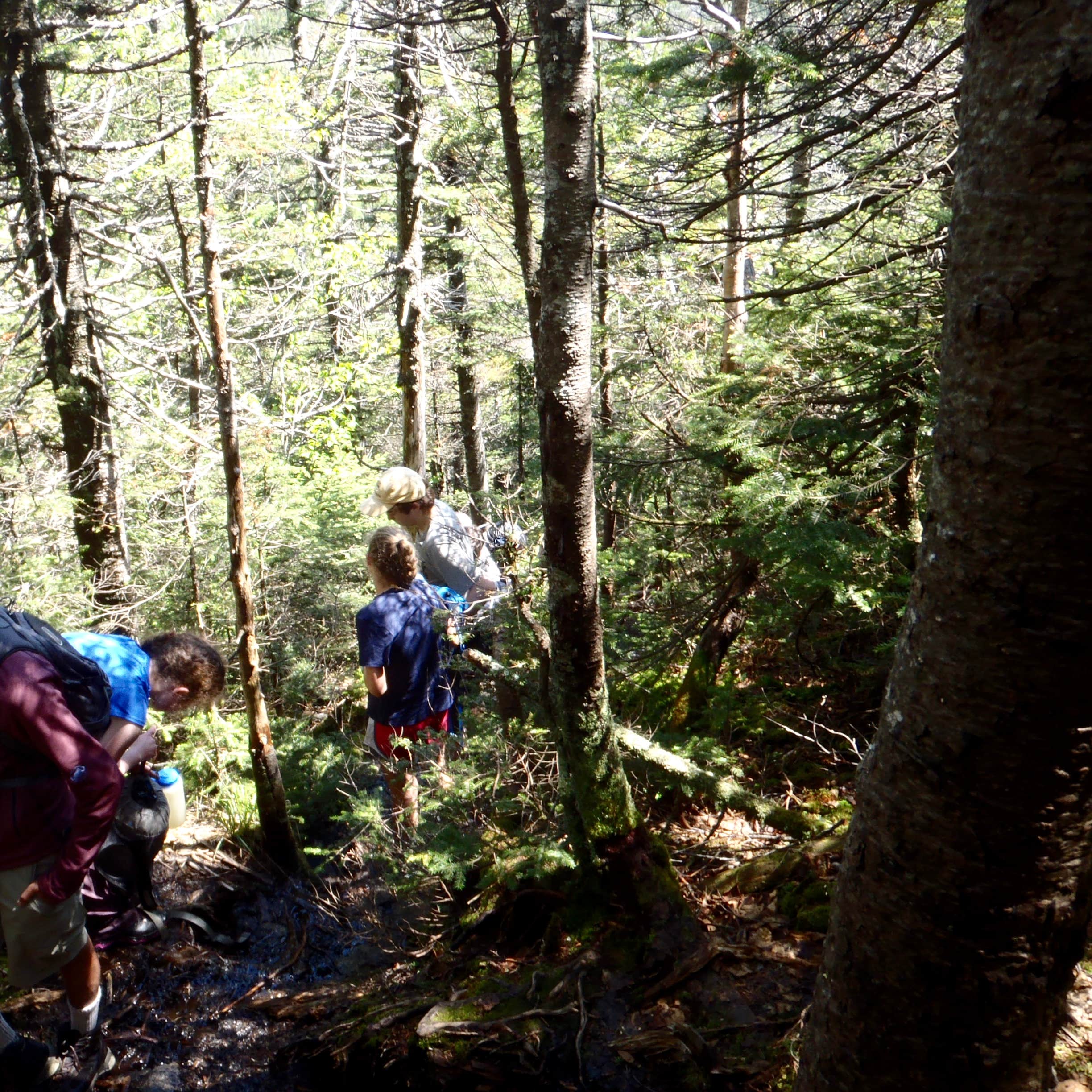 Marcy Dam Backcountry Campsites Camping | The Dyrt