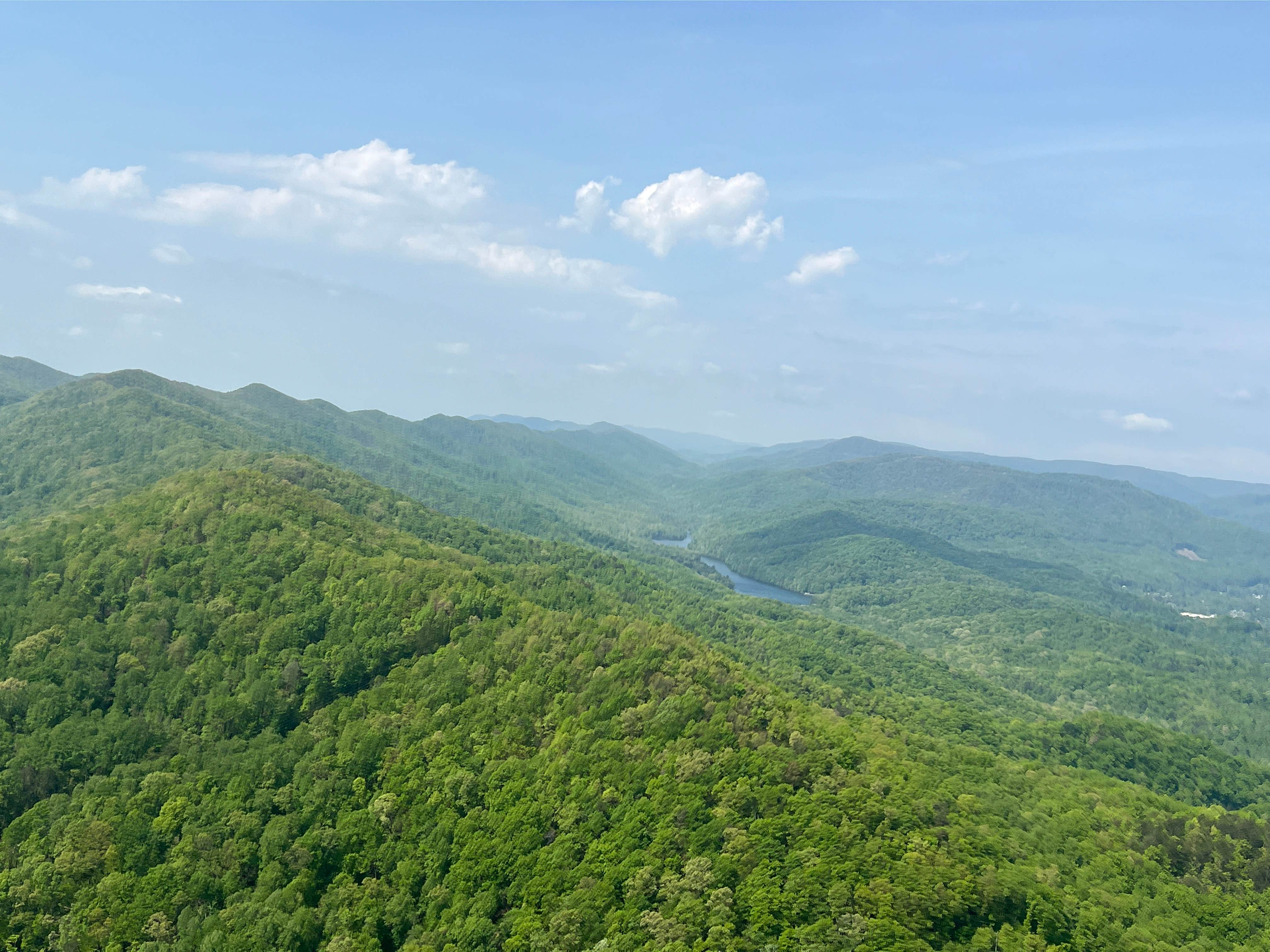 Daisy’s Farm and Campground | Calvin, Kentucky