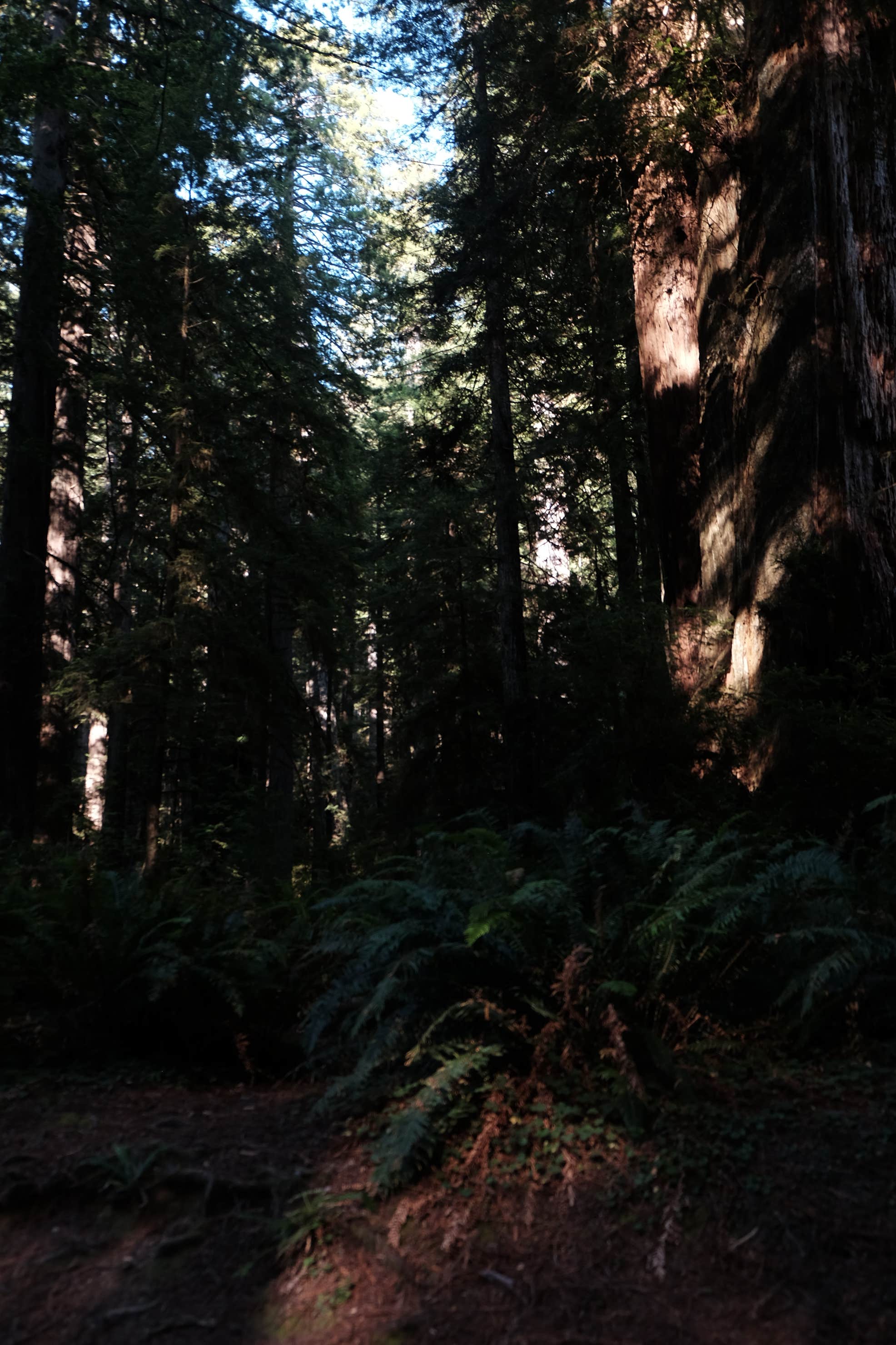 Jones Valley Inlet Shoreline Campground Camping | The Dyrt