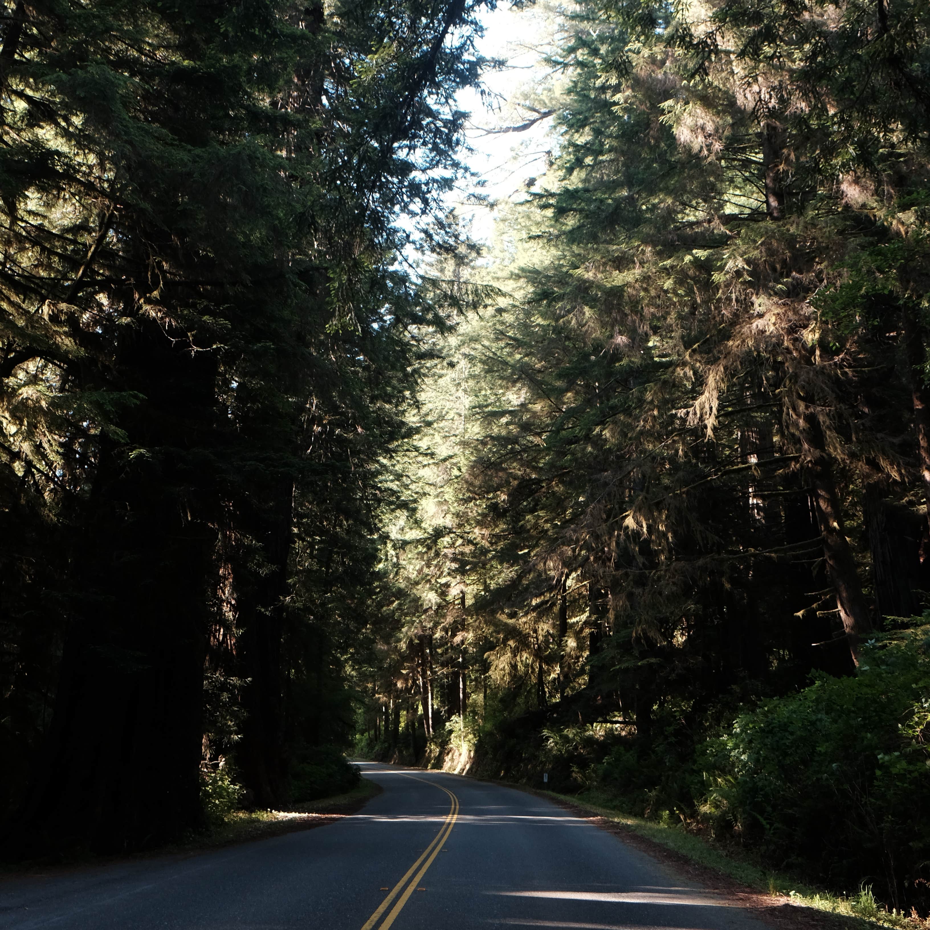 Jones Valley Inlet Shoreline Campground Camping | The Dyrt