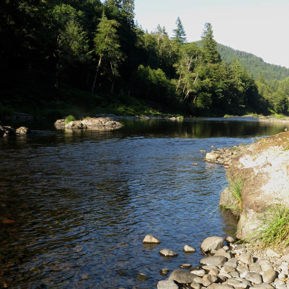 Tillamook State Forest Nehalem Falls Campground Camping | The Dyrt