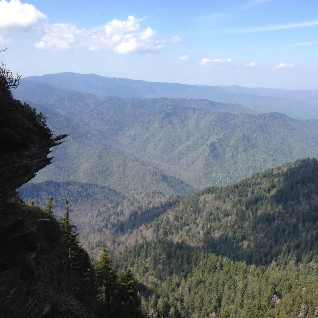 Mount LeConte Shelter — Great Smoky Mountains National Park Camping ...