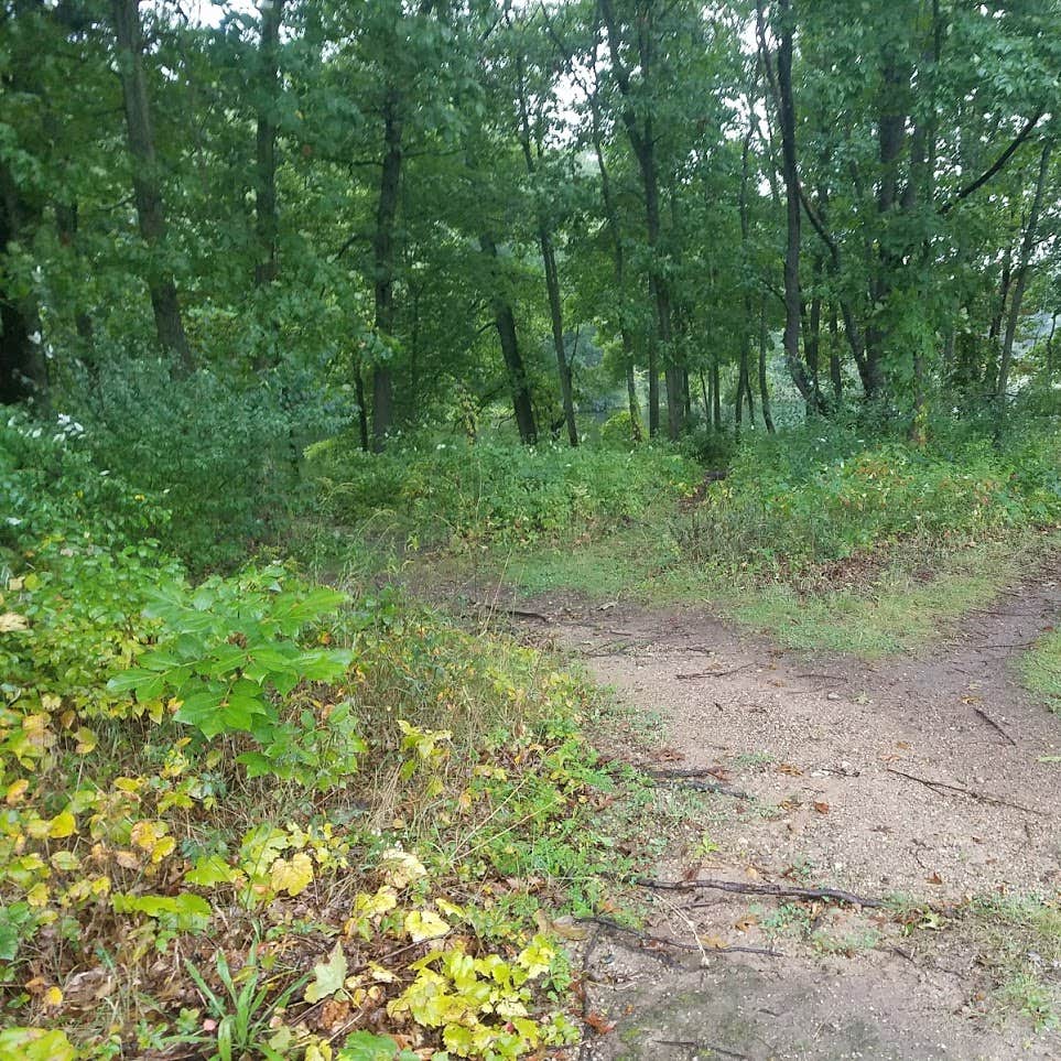 Fort Custer Recreation Area Camping | The Dyrt