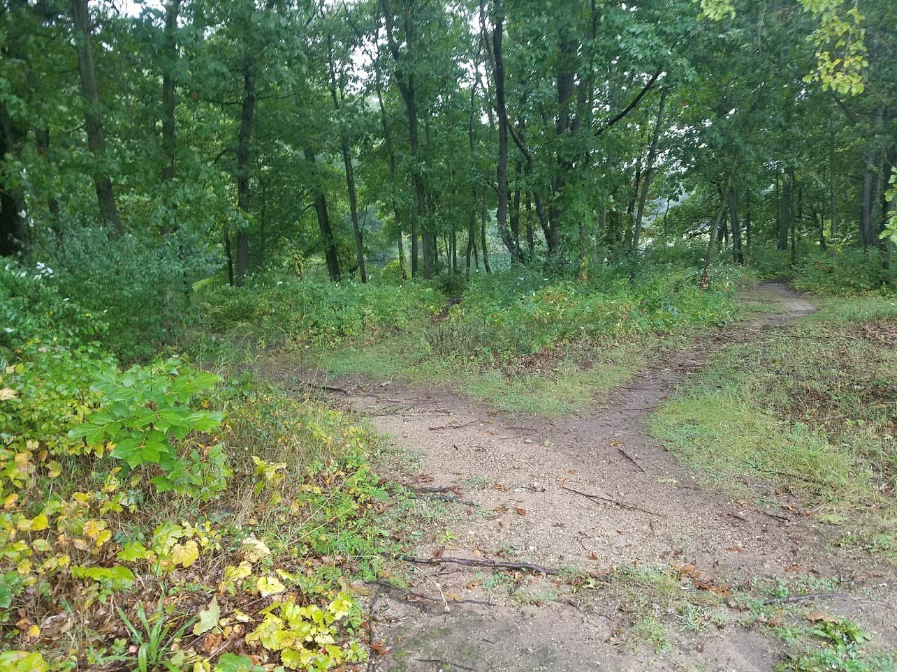 Fort Custer Recreation Area Camping | Augusta, Michigan