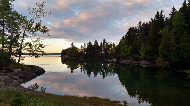 Cobscook Bay State Park Camping | The Dyrt