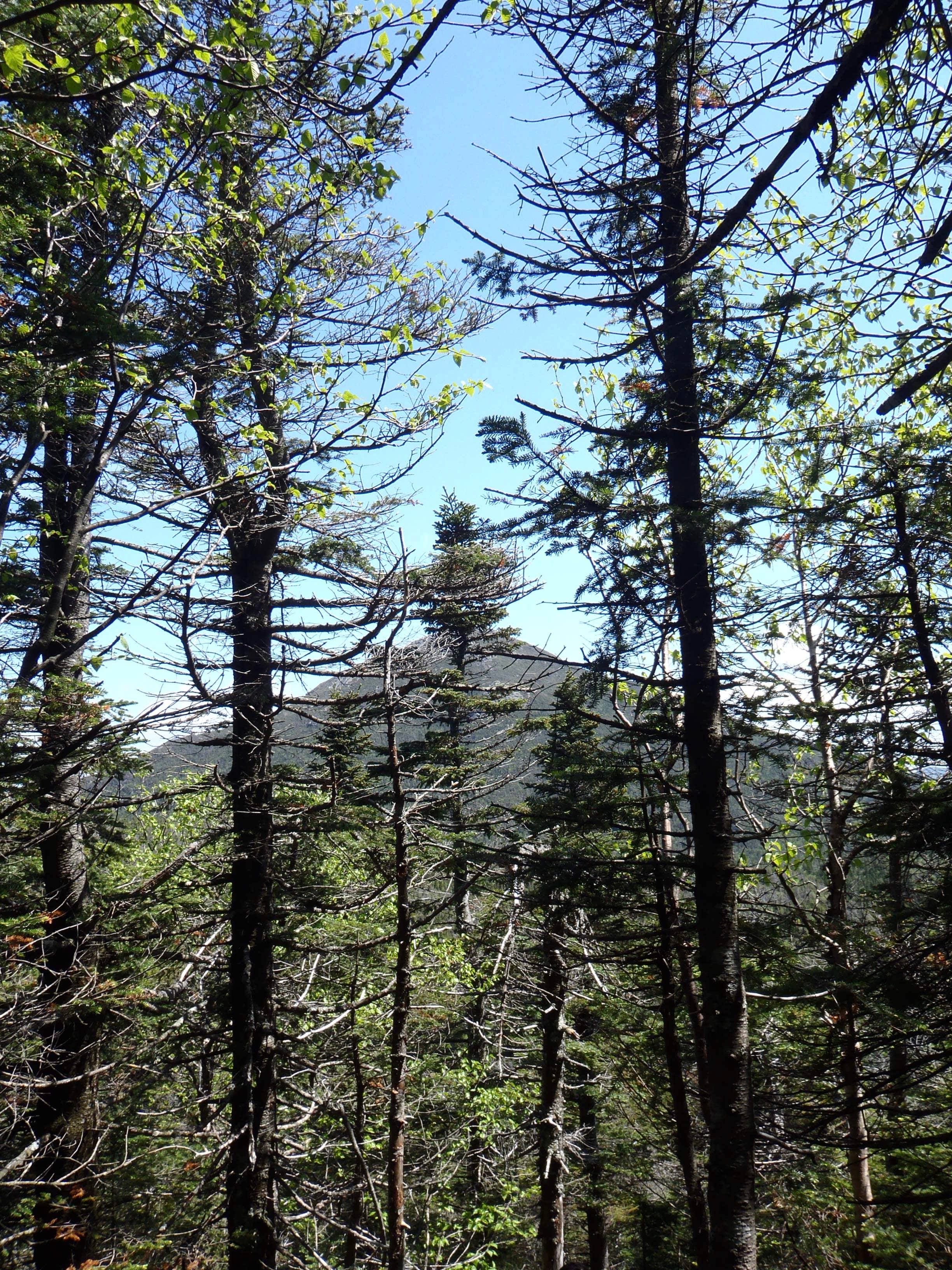Flowed Lands Camping | Keene Valley, NY