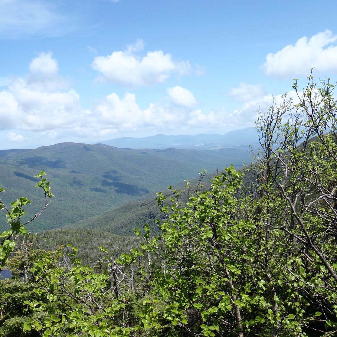 Marcy Dam Backcountry Campsites Camping | The Dyrt