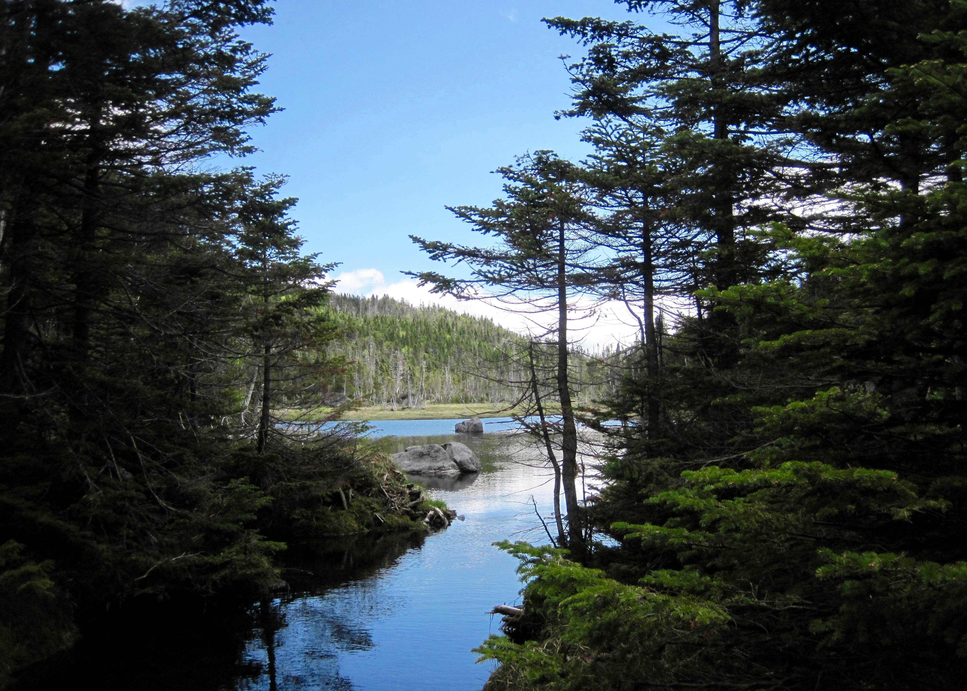 Marcy Dam Backcountry Campsites Camping | The Dyrt