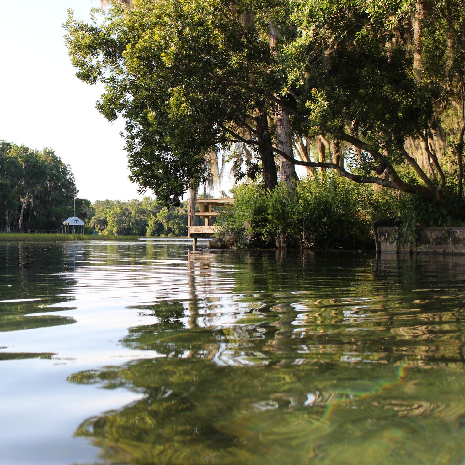 Rainbow Springs State Park Camping | The Dyrt