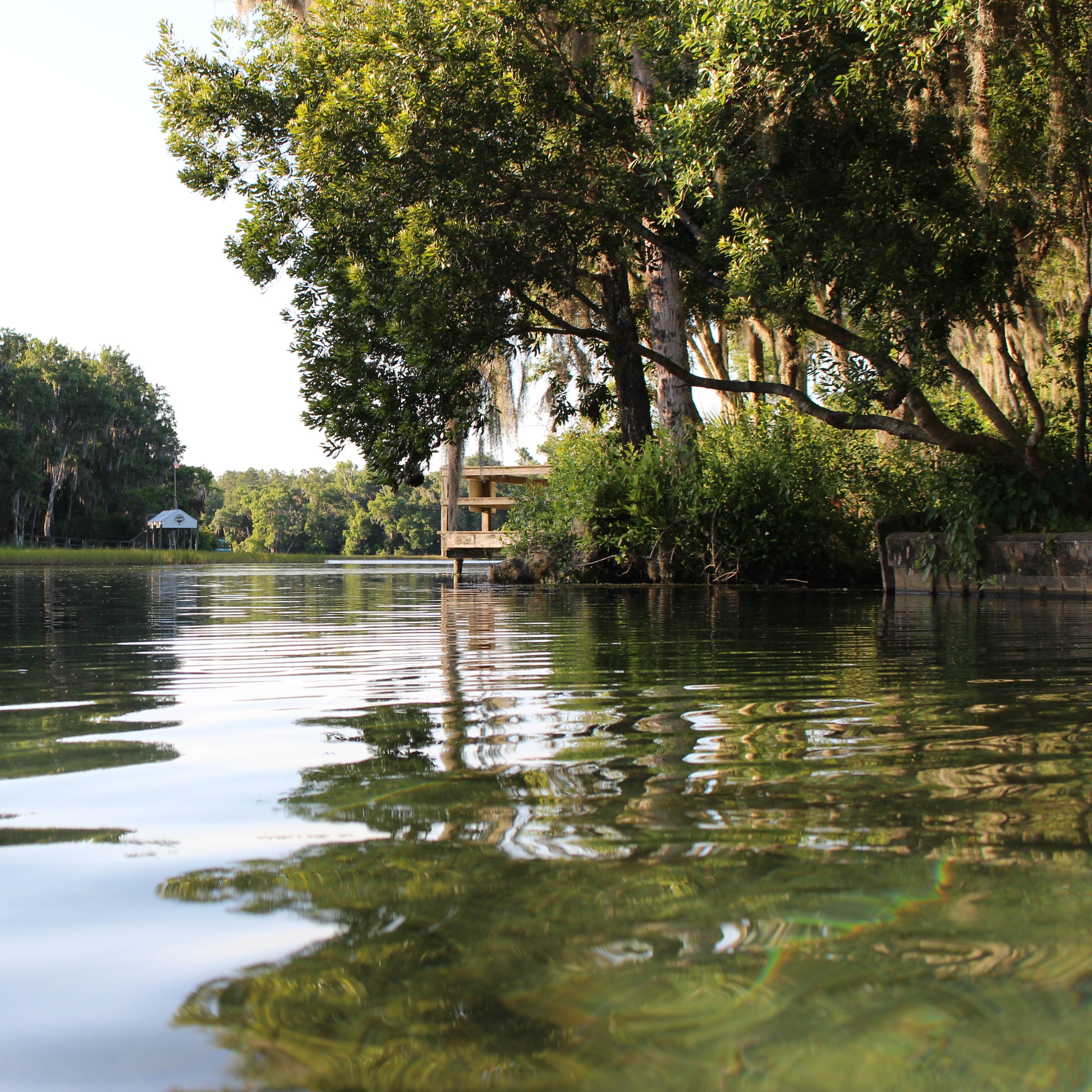 Rainbow Springs State Park Camping | The Dyrt
