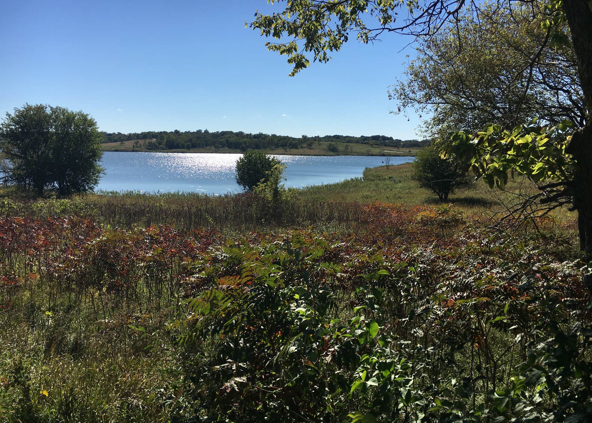 Lake Anita State Park Camping | The Dyrt