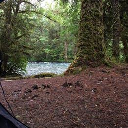 Mckenzie Bridge Camping | Mckenzie Bridge, Oregon