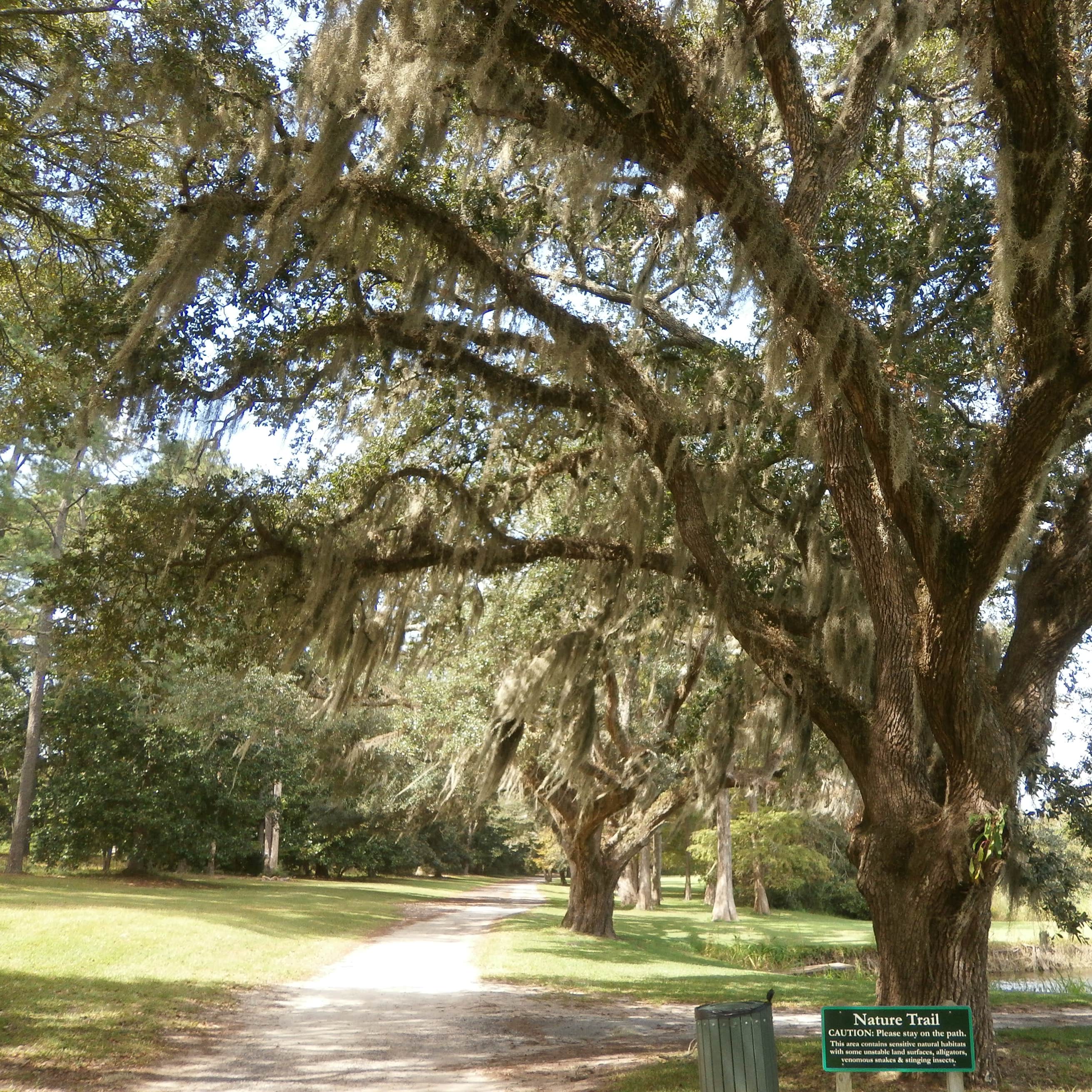 Pirateland Family Camping Resort Camping | The Dyrt