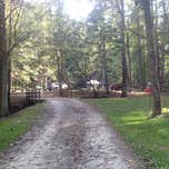 Kanawha State Forest Camping | The Dyrt