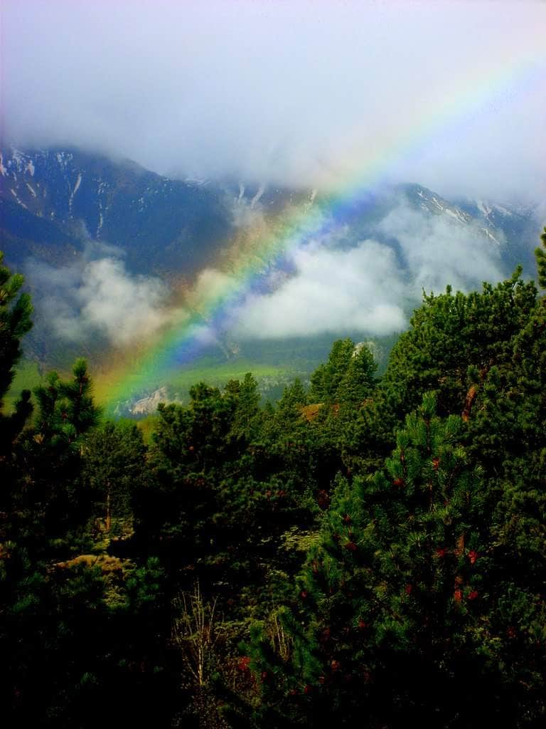 Twin Lake Dispersed Area - Grand Valley Rd Camping | Cedaredge, CO