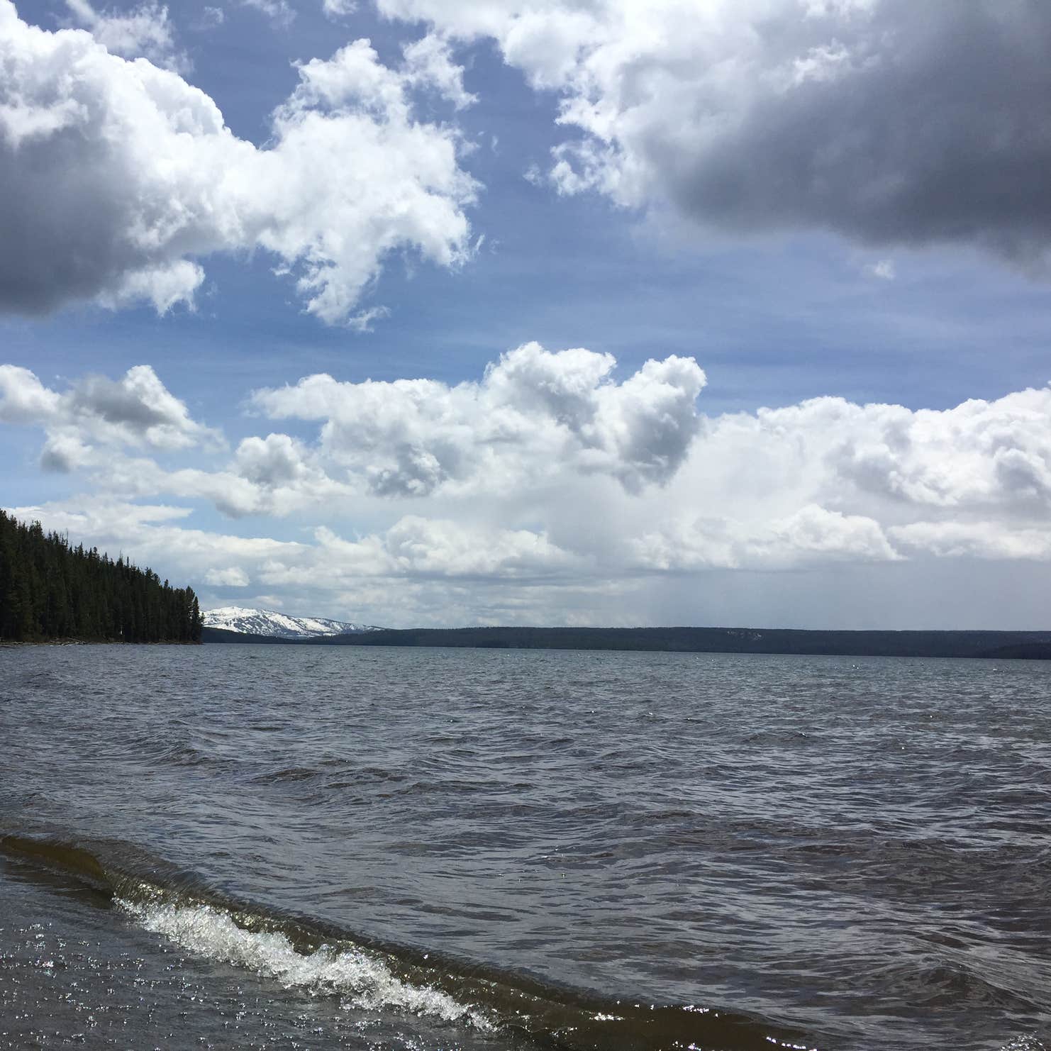 Lewis Lake - Yellowstone National Park Camping | The Dyrt