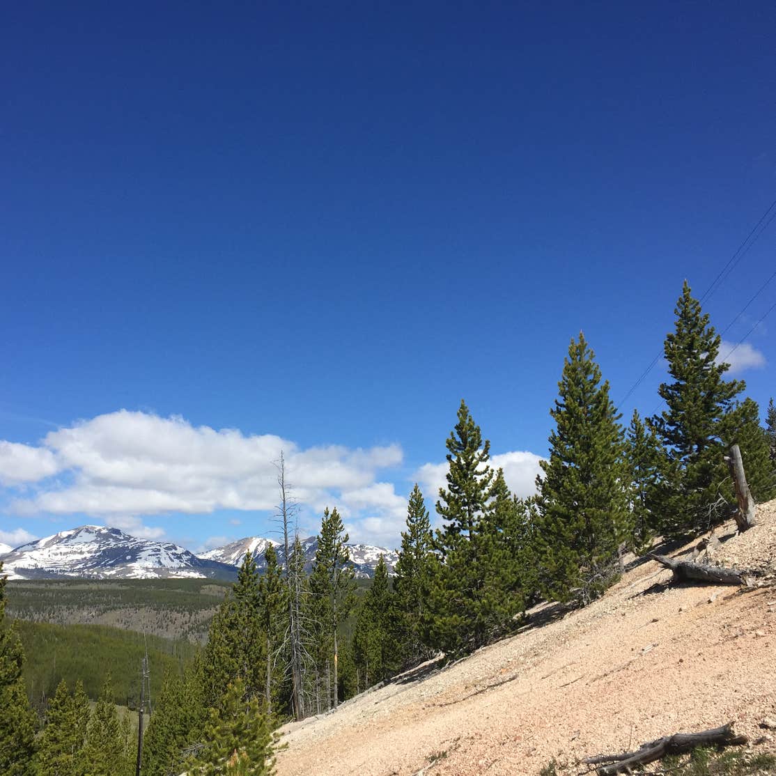 Lewis Lake - Yellowstone National Park Camping | The Dyrt