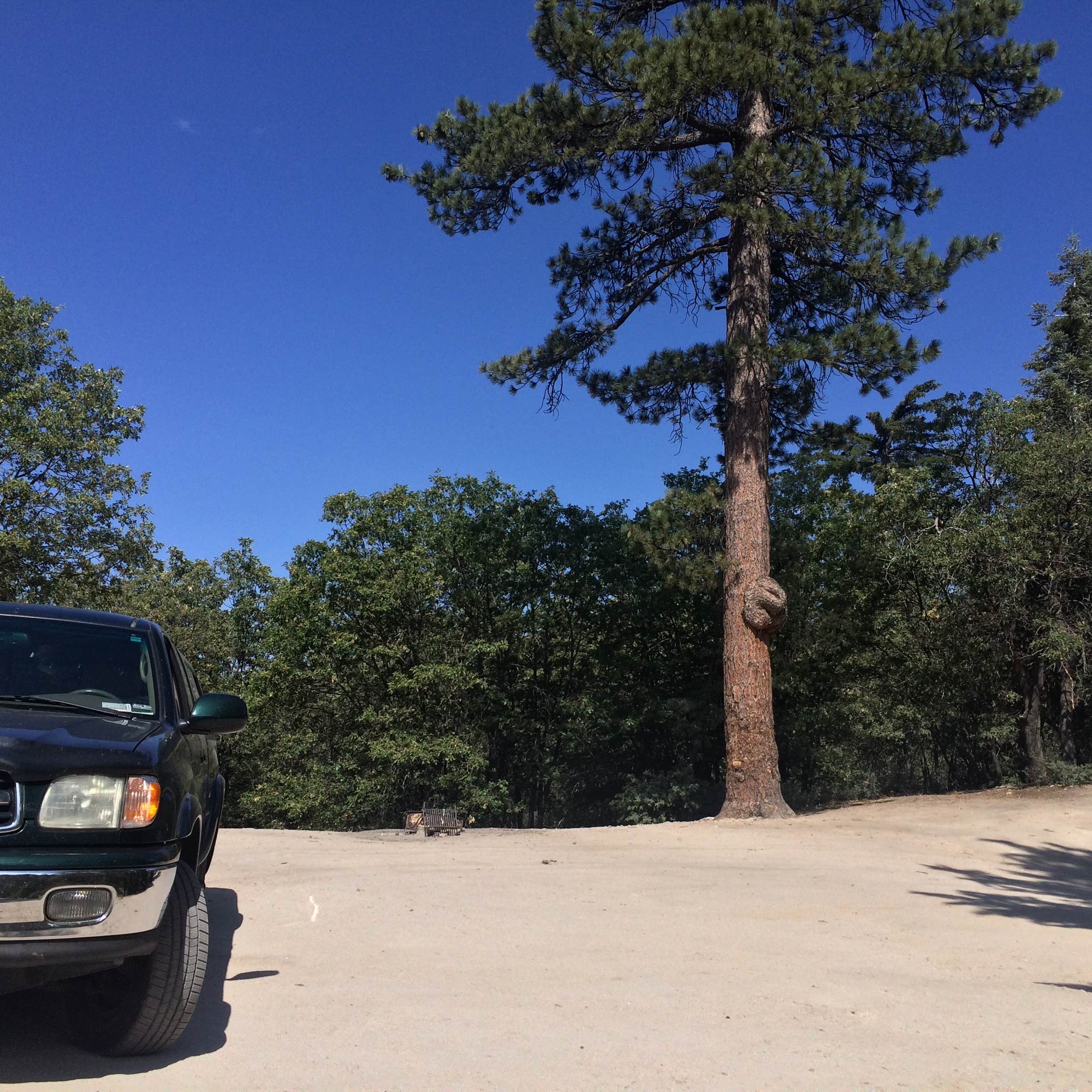 Yellow Post Campsite #8 Camping | The Dyrt