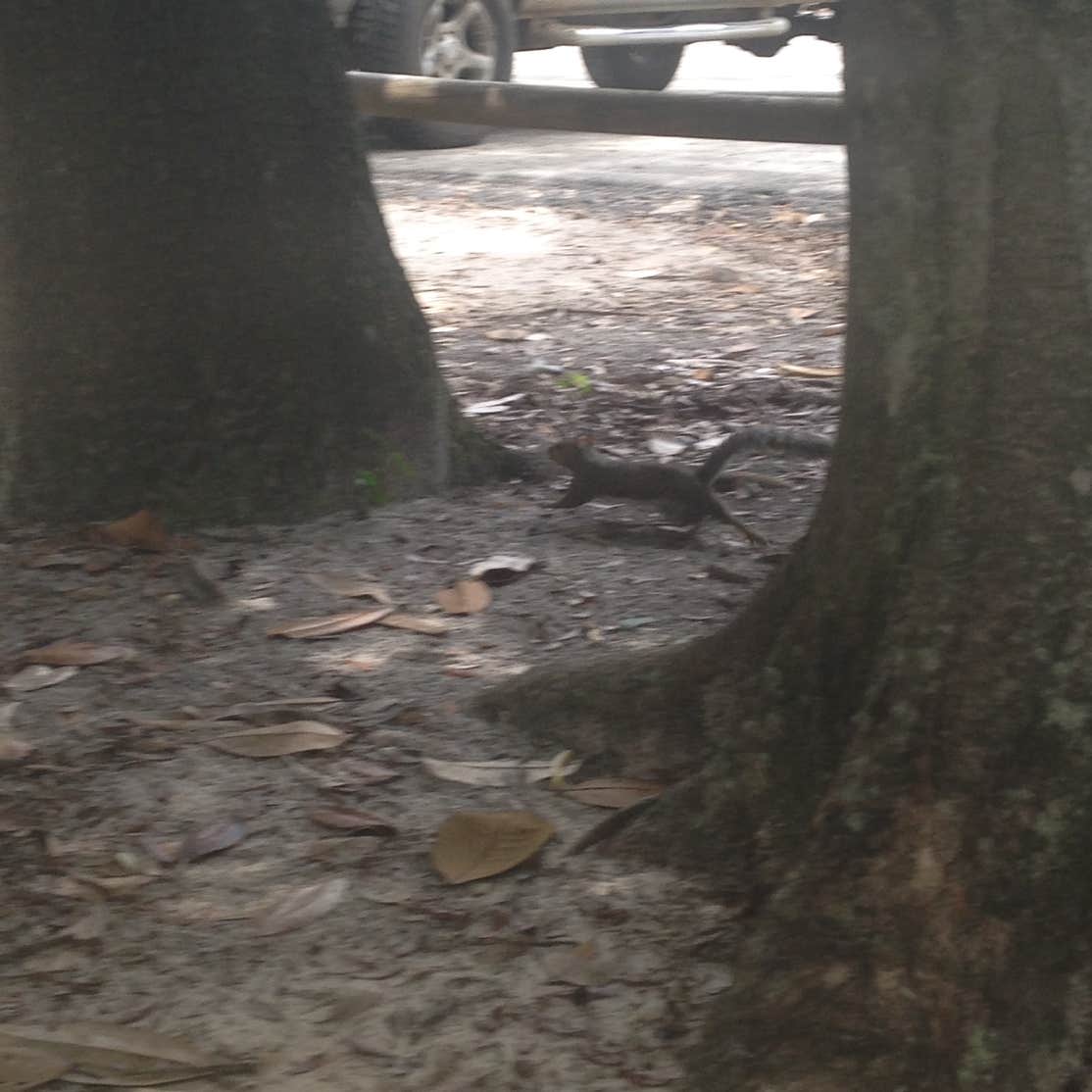 Spring Valley Cabin Bunkhouse | Parks, Arizona