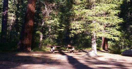 Park Creek (idaho) Camping | Lowman, Idaho