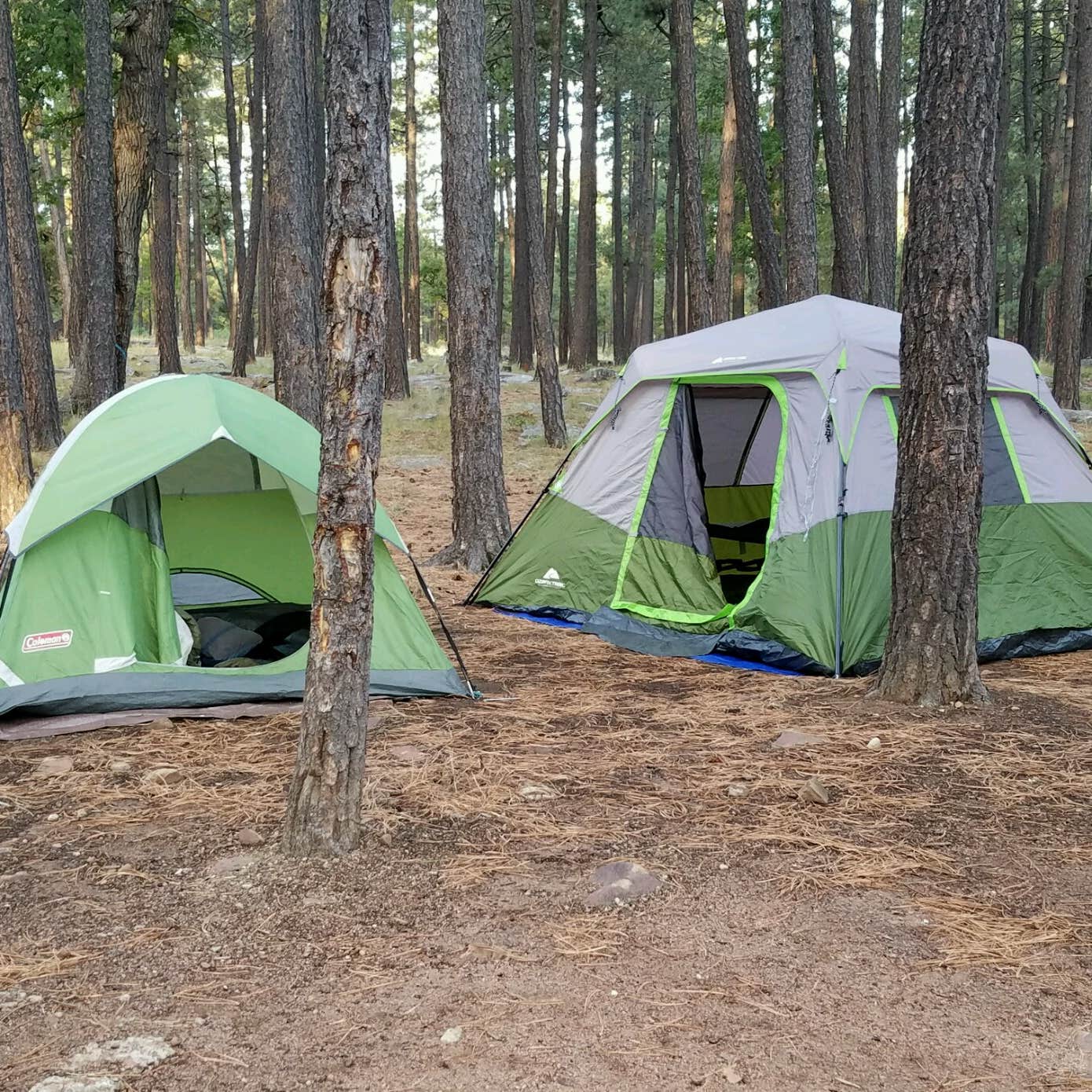 Aspen Campground at Woods Canyon Camping | The Dyrt