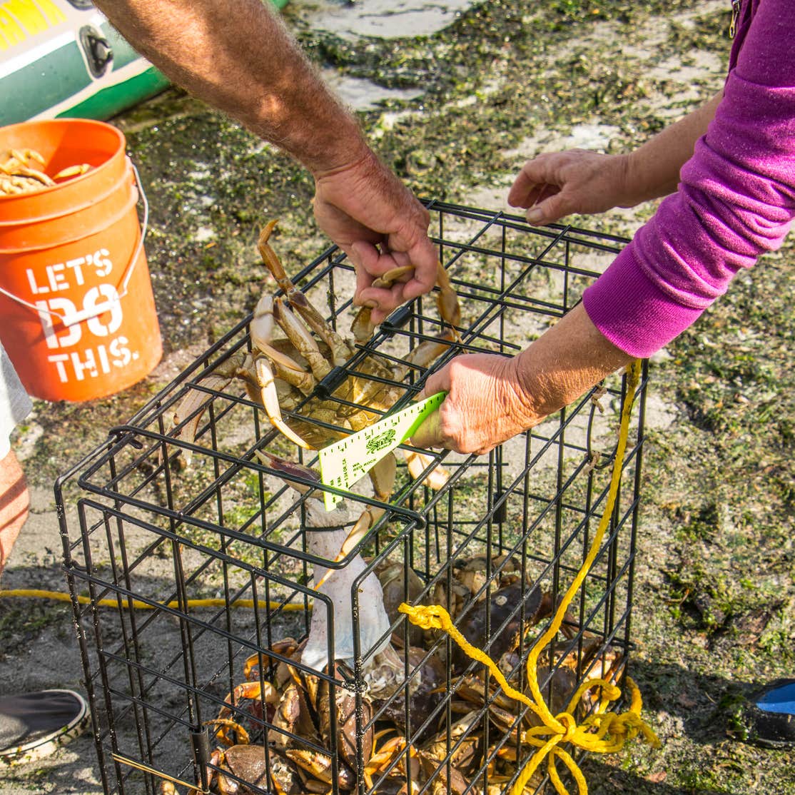 Odlin County Park Camping - Lopez Island | Lopez Island, WA