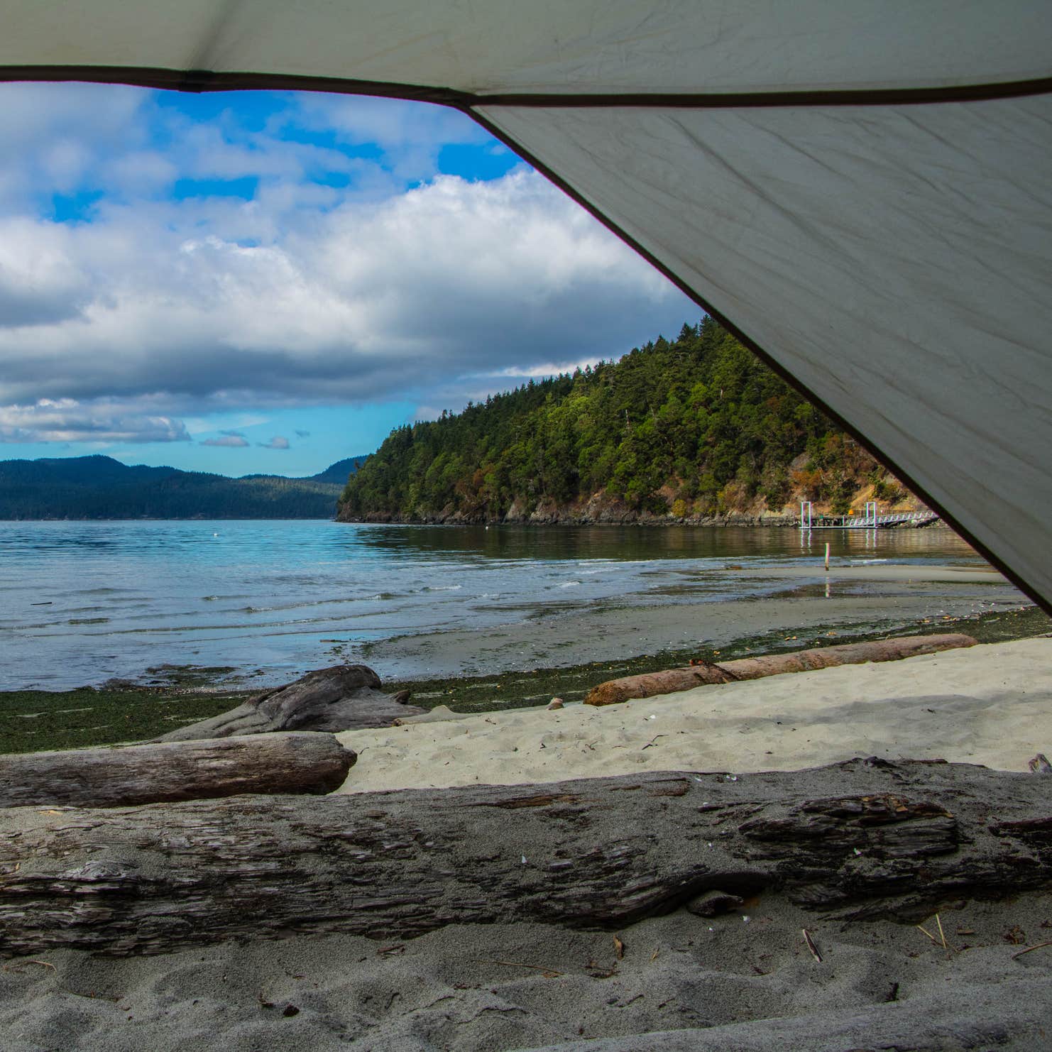 Odlin County Park Camping - Lopez Island Camping | The Dyrt