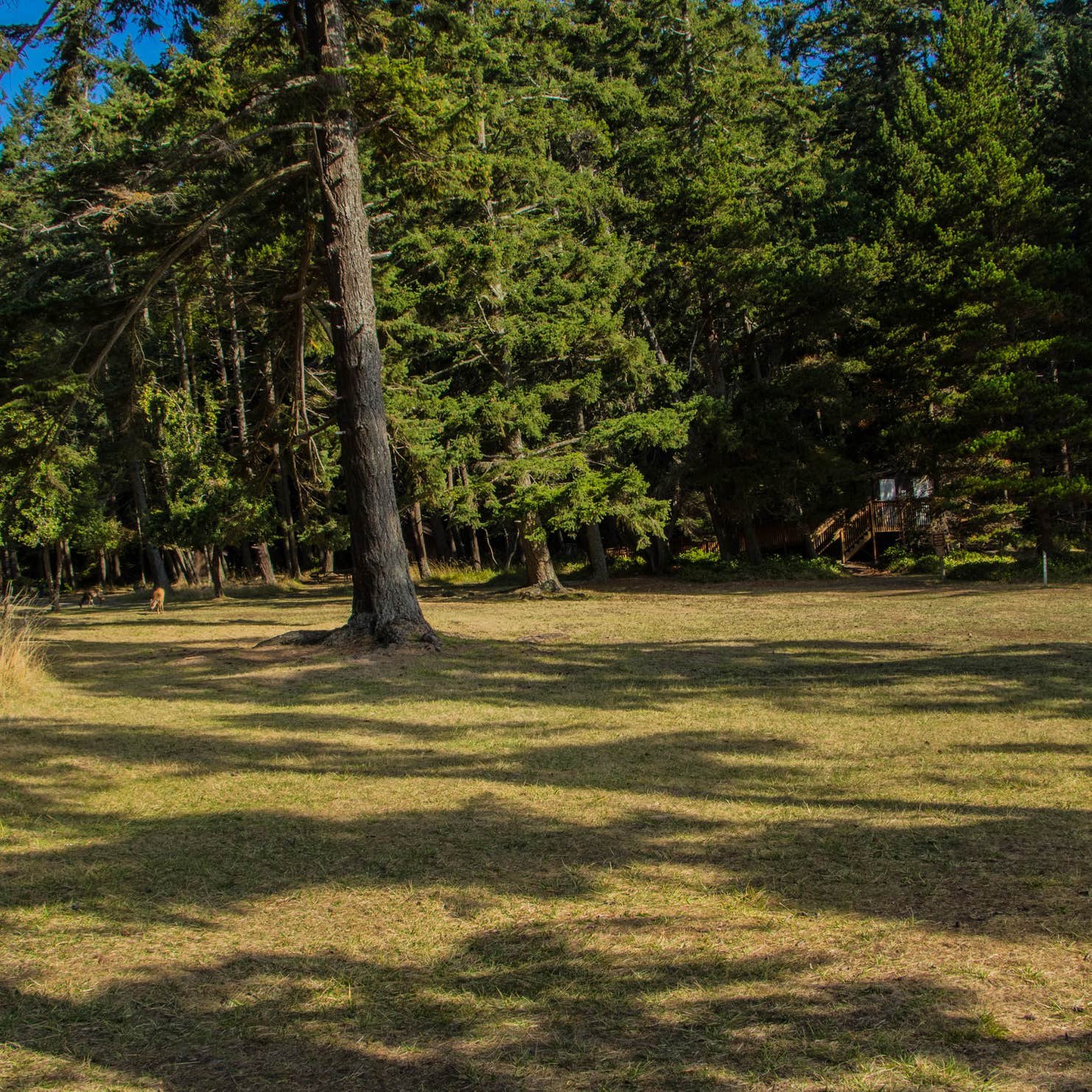 Jones Island Marine State Park Camping | Eastsound, WA | The Dyrt