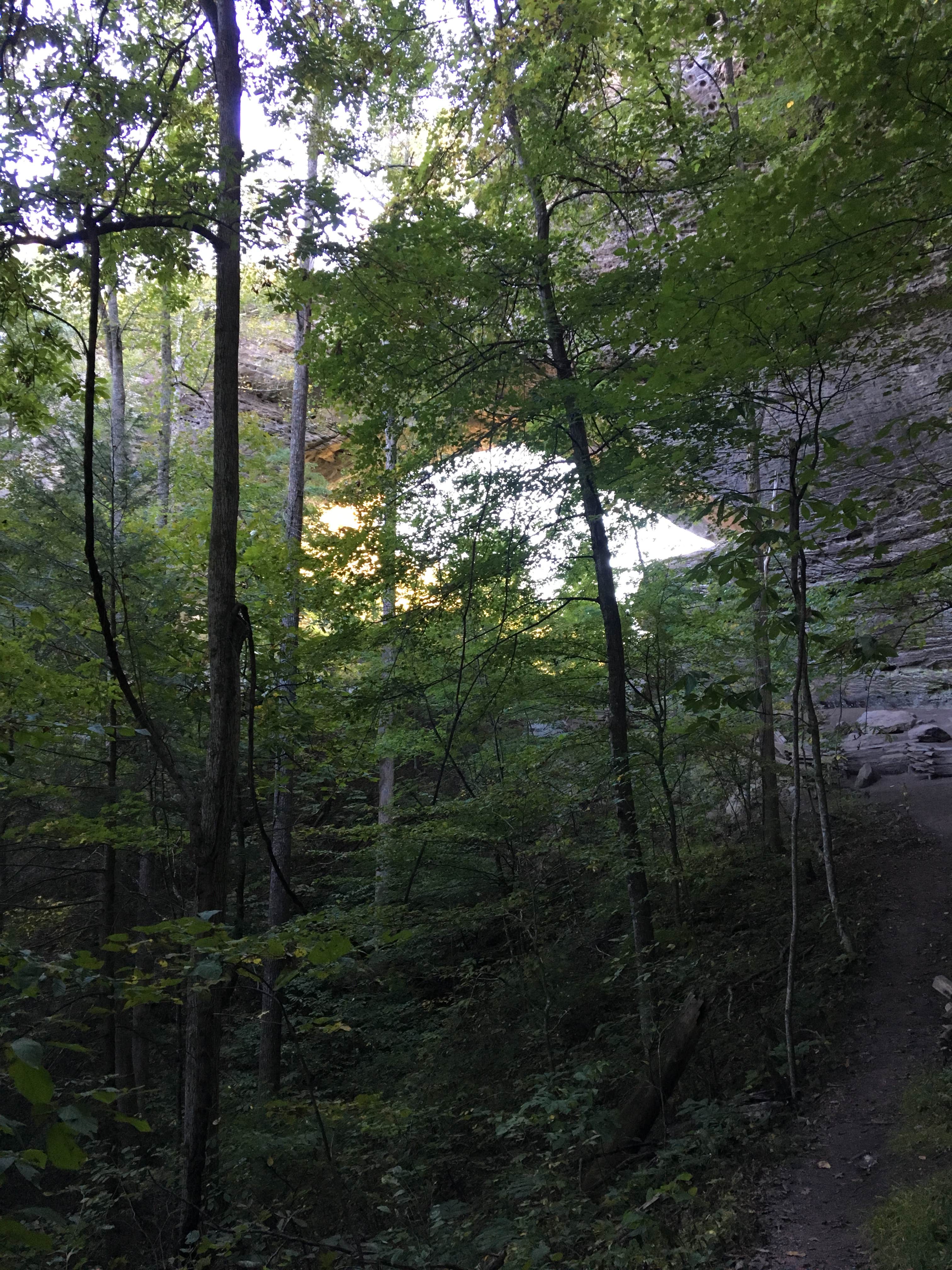 General Burnside Island State Park Campground | Burnside, Kentucky