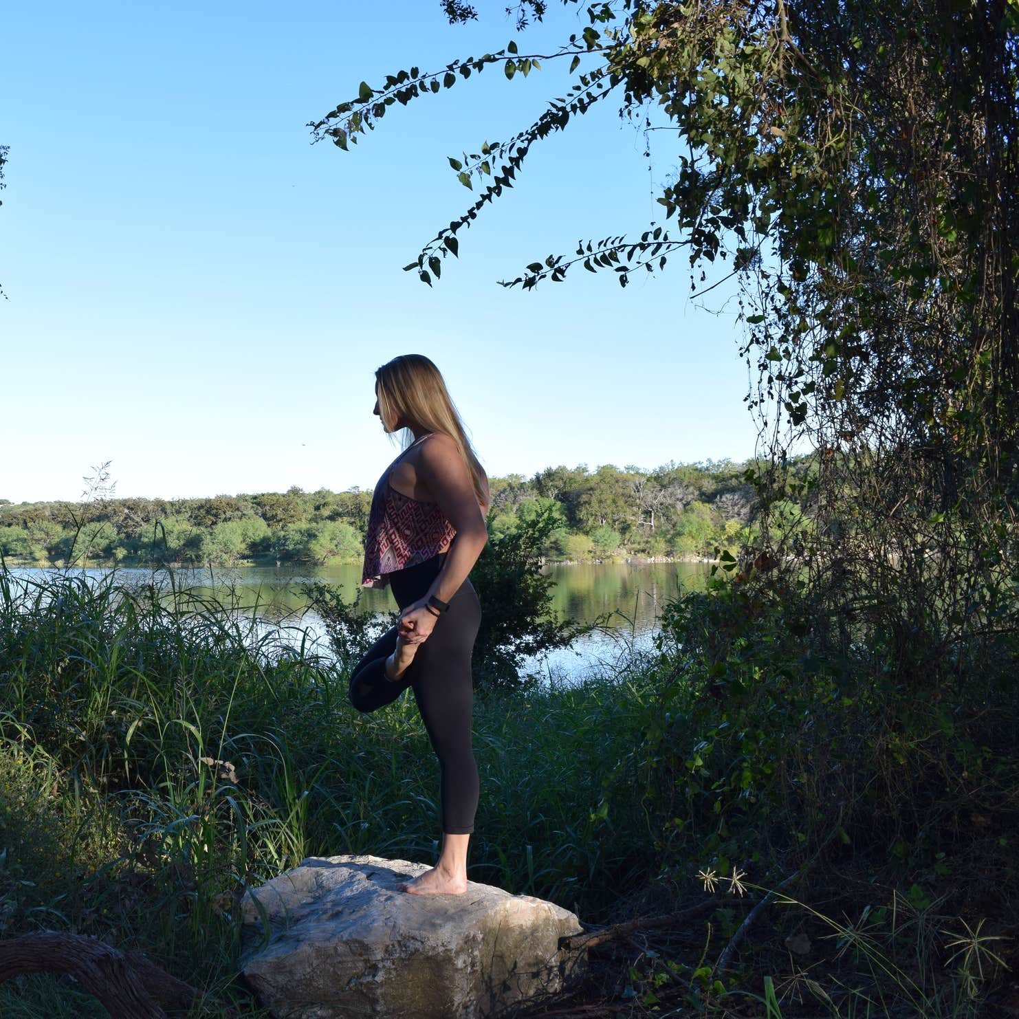 Shaffer Bend Recreation Area Camping | The Dyrt