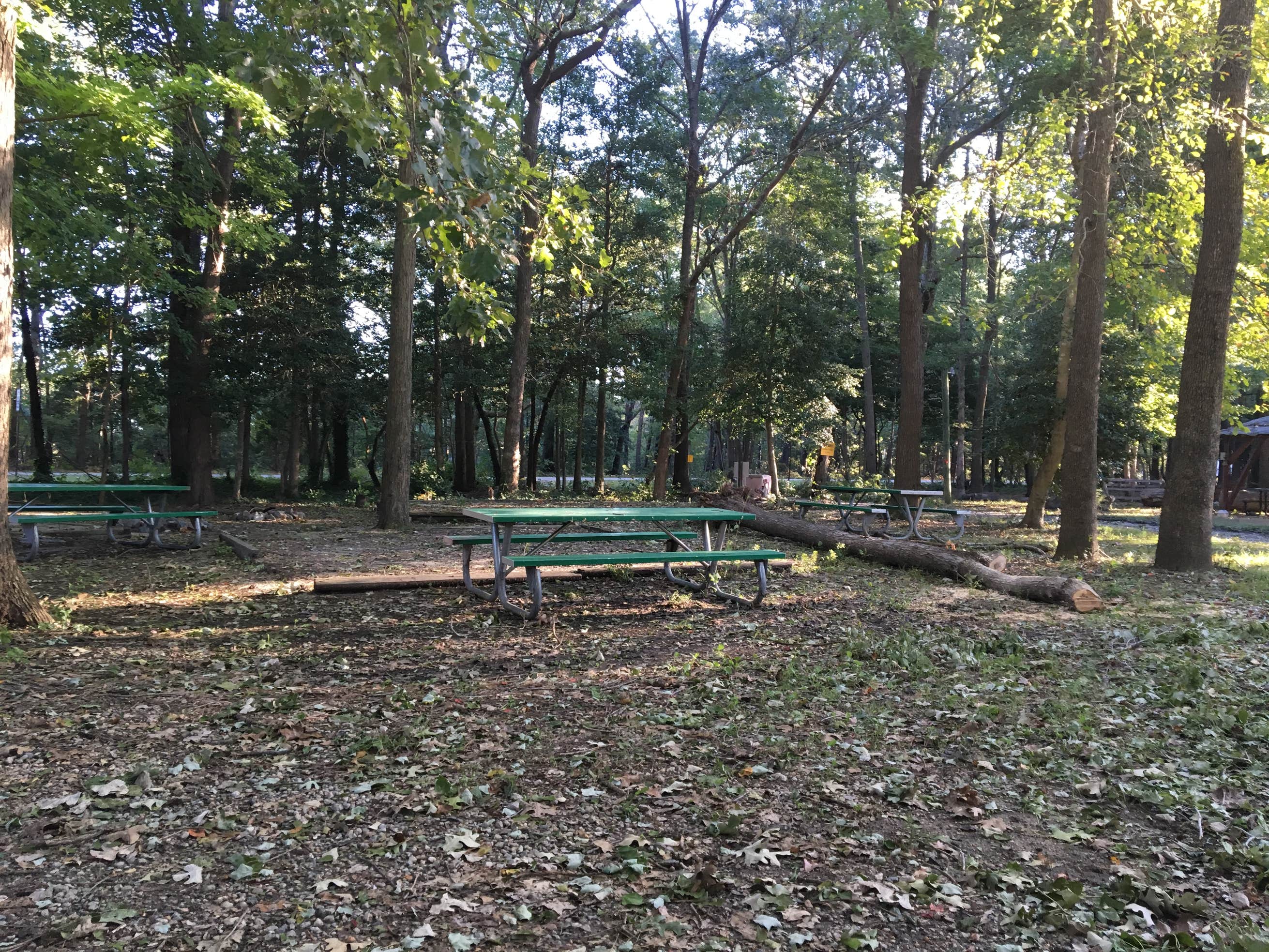 Little Creek MWR RV Park Camping | The Dyrt