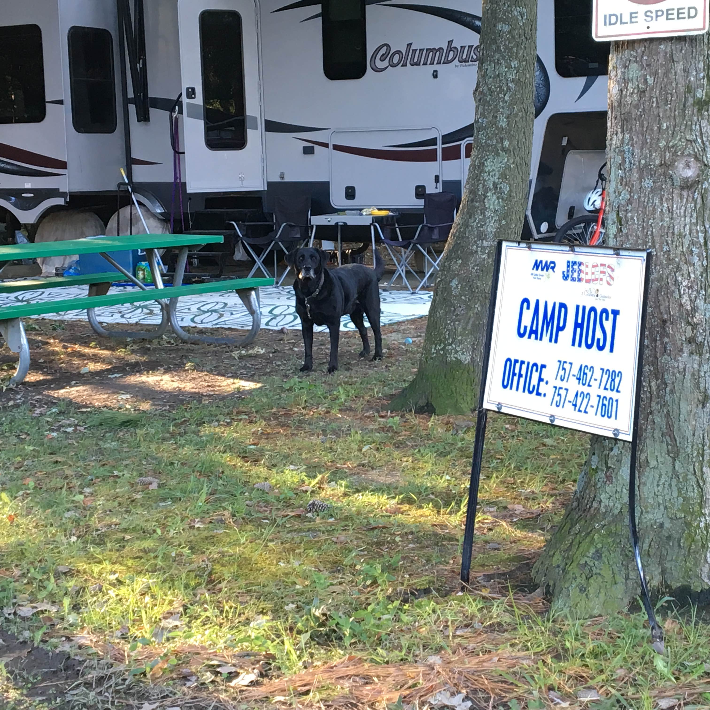 Little Creek MWR RV Park Camping | The Dyrt