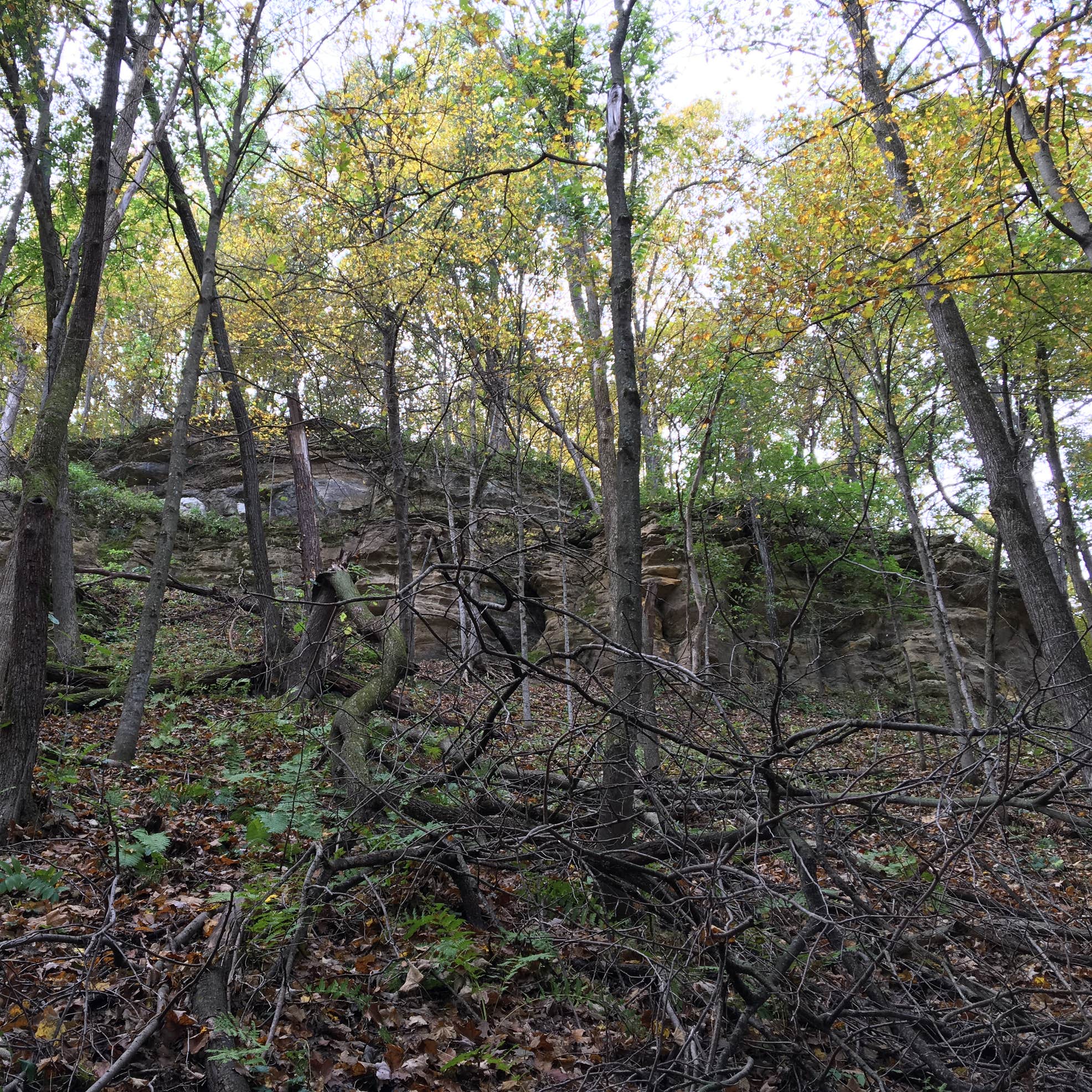 Wildcat Mountain State Park Camping | The Dyrt