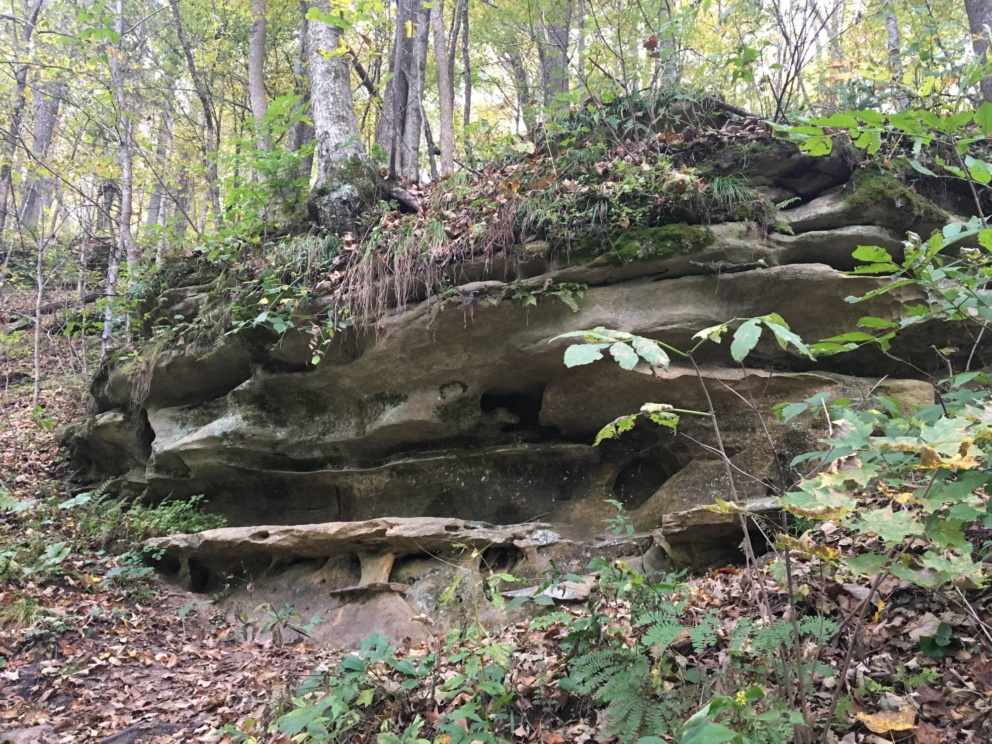 Wildcat Mountain | The Dyrt