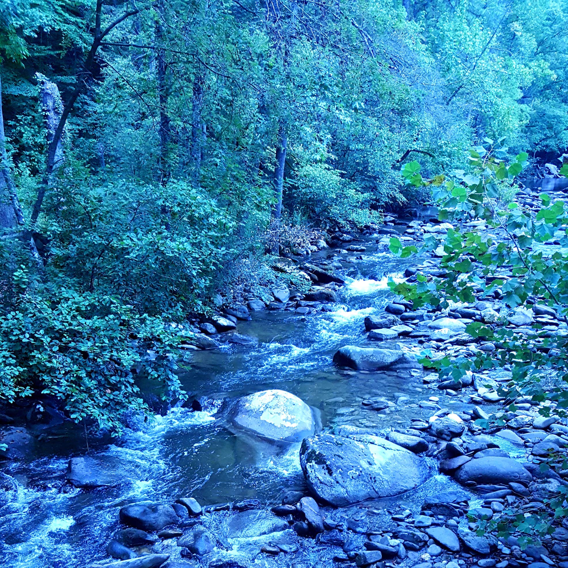 Tellico River Campgrounds | Coker Creek, Tennessee