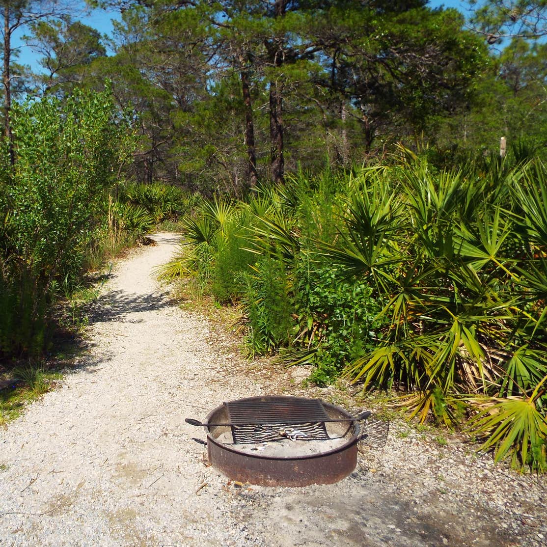 Topsail Hill Preserve State Park Camping | The Dyrt