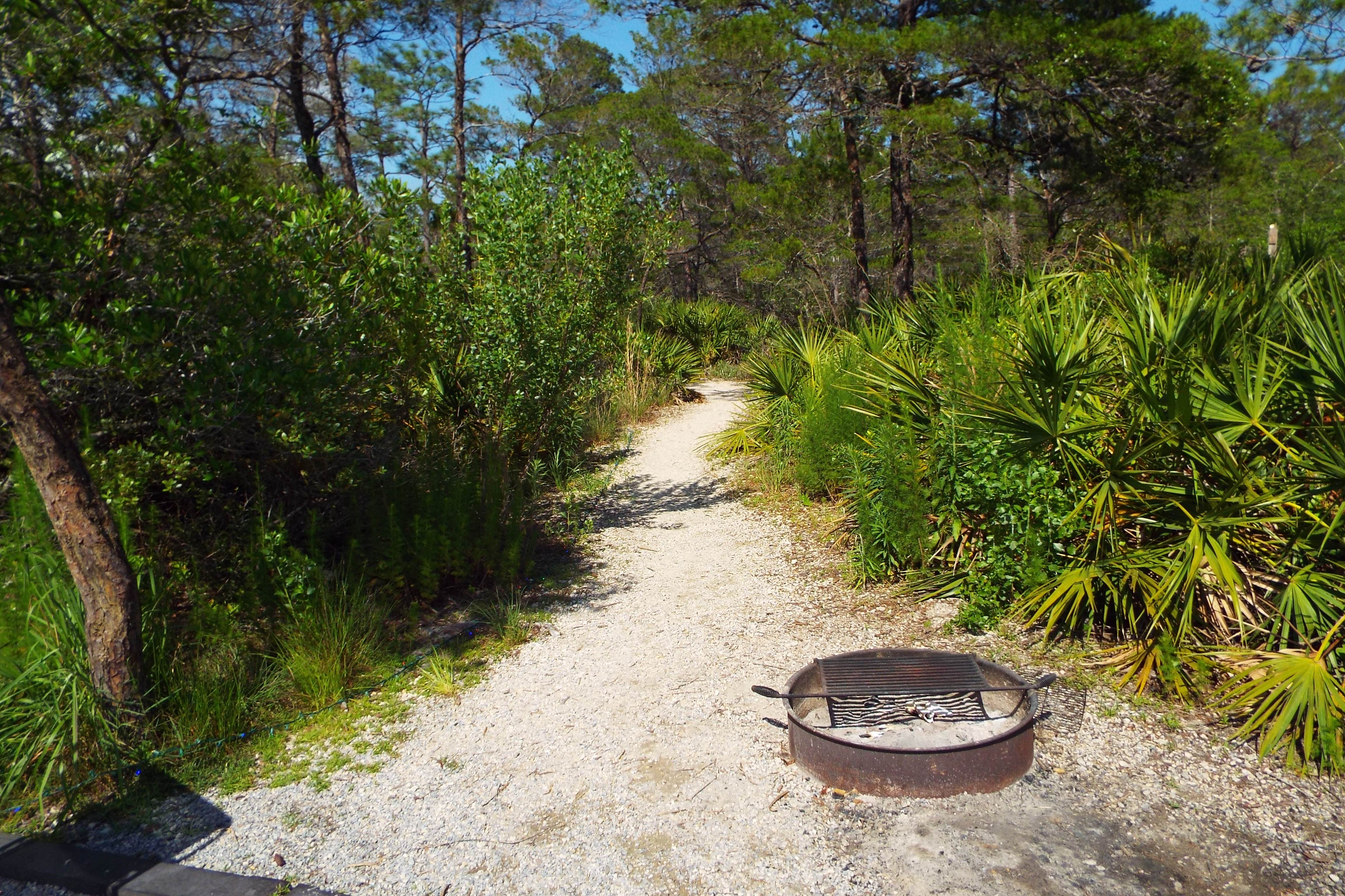 Topsail Hill Preserve State Park Campground | Santa Rosa Beach, FL