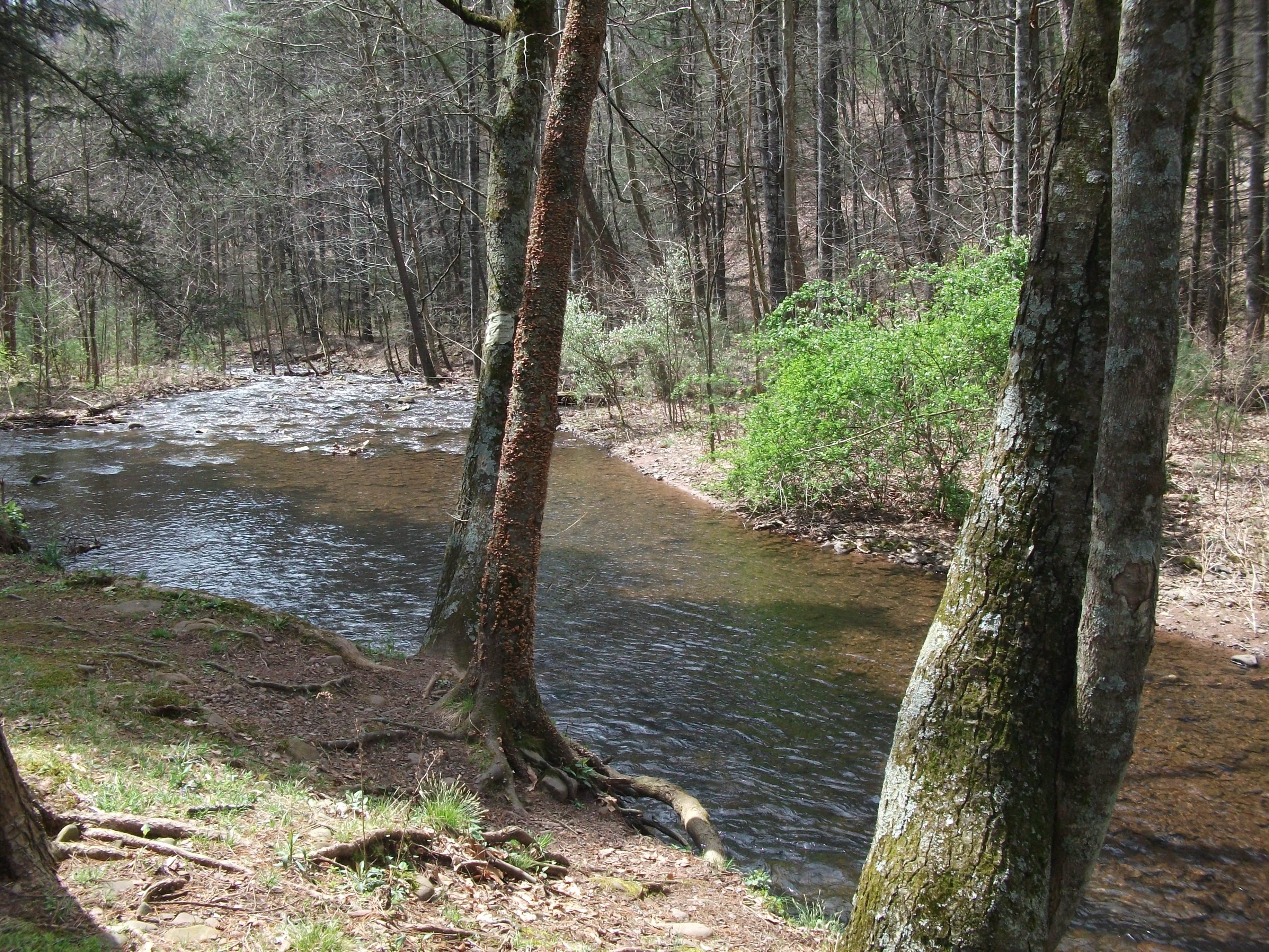 Hone Quarry Camping | Dayton, VA