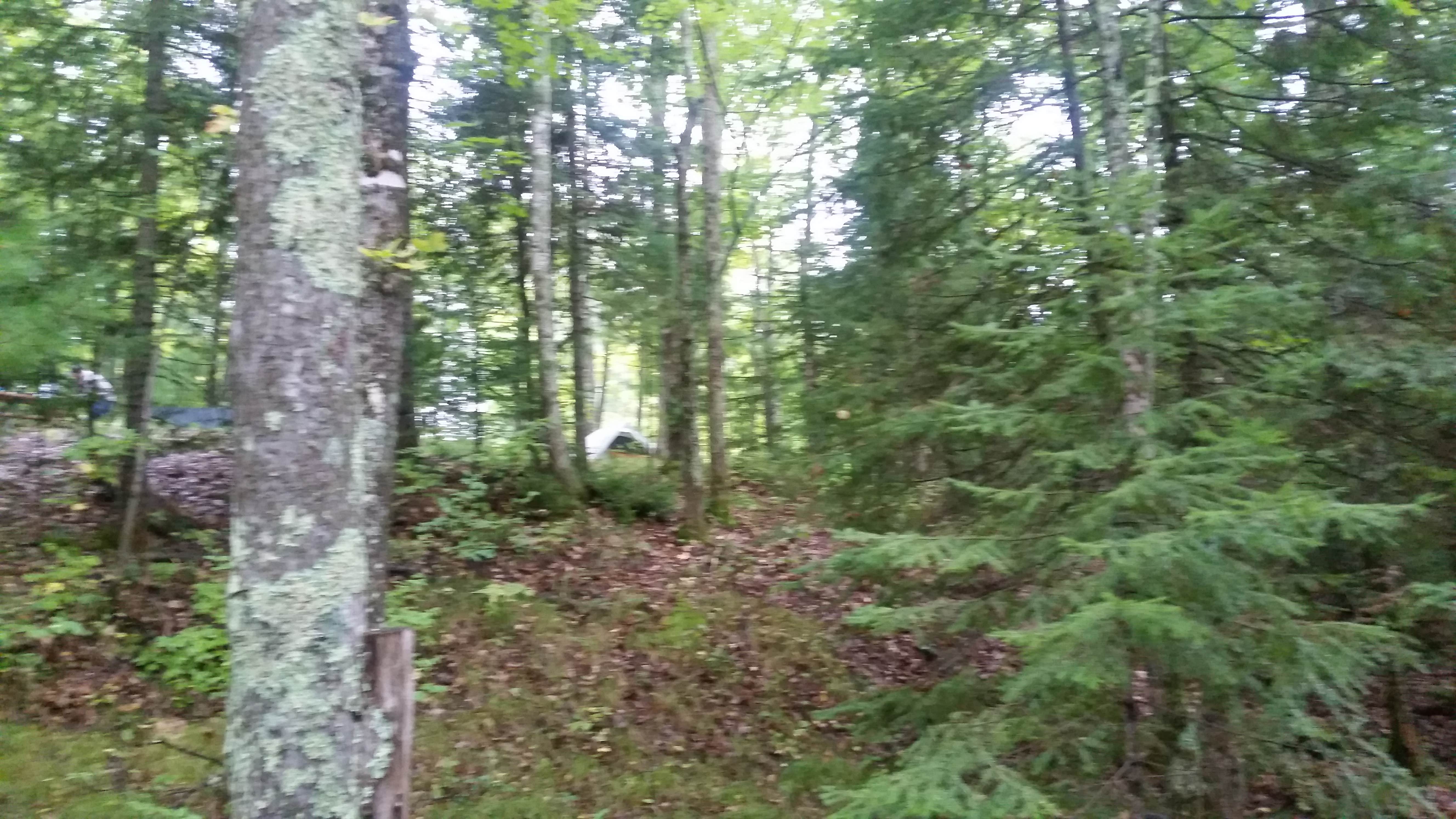 Two Lakes Camping | Drummond, WI