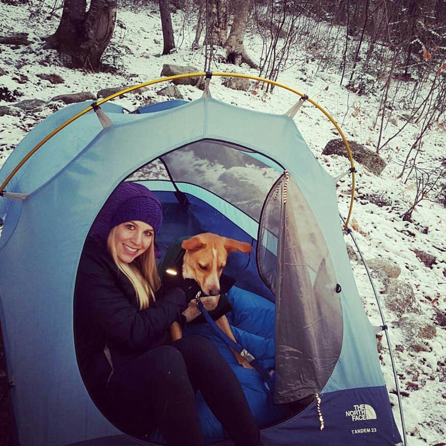 Grafton Loop Trail - Sargent Brook Campsite | Willimantic, Maine