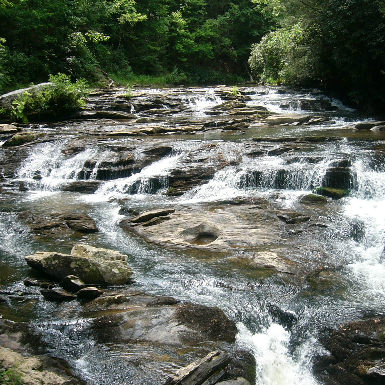 Panther Creek Recreation Area Camping Camping | The Dyrt